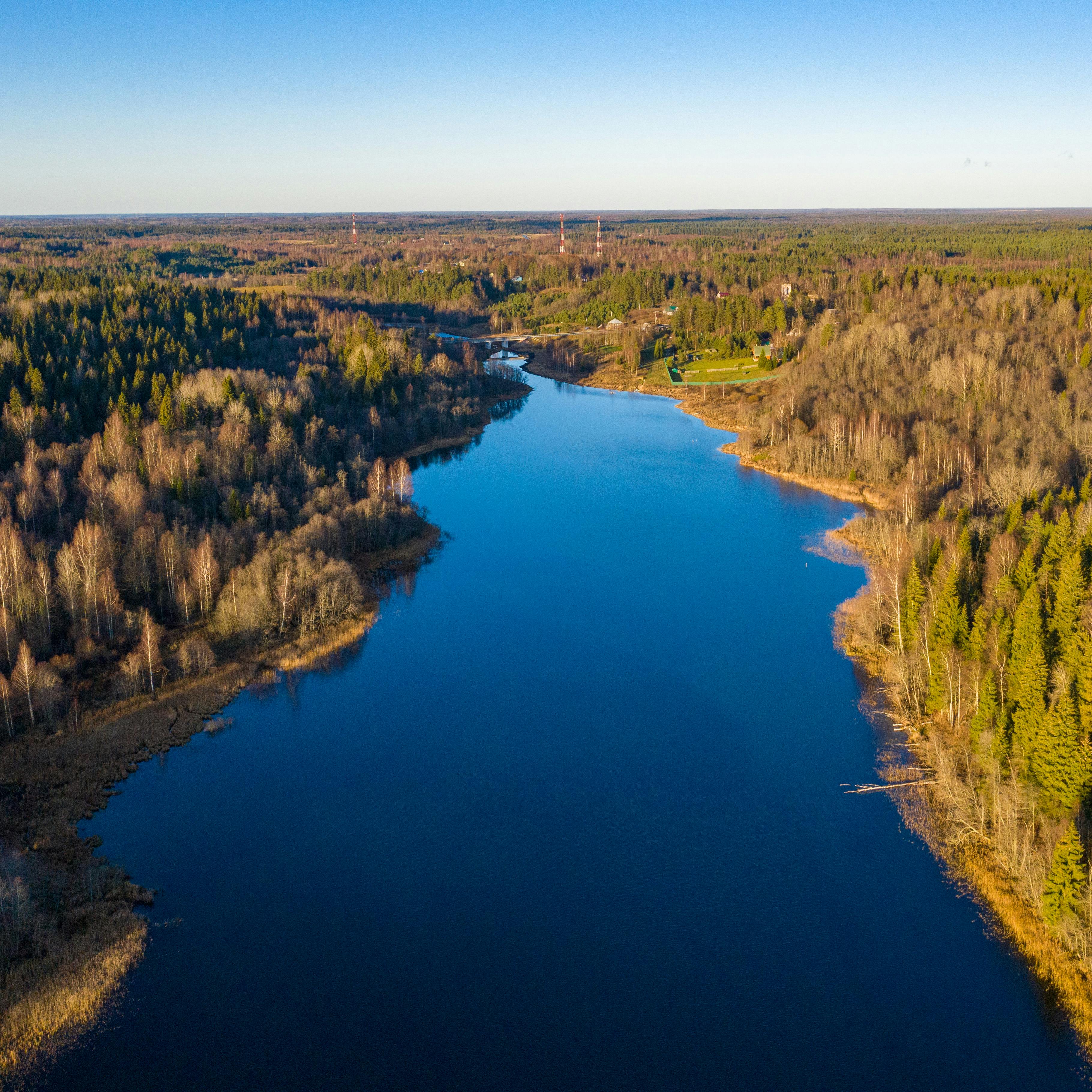 Green Trees Beside River · Free Stock Photo