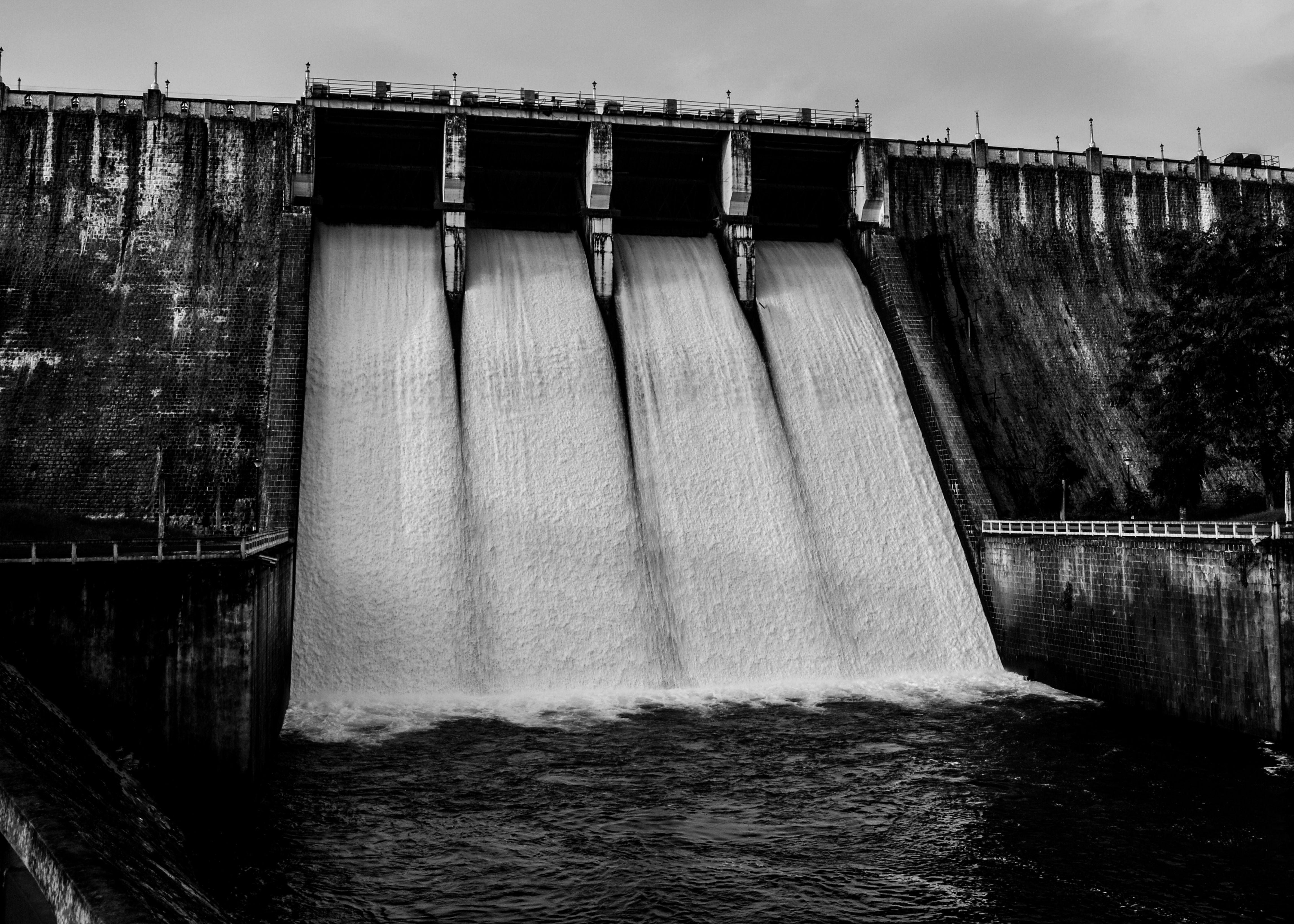 20+ Best Hydro Photos · 100% Free Download · Pexels Stock Photos