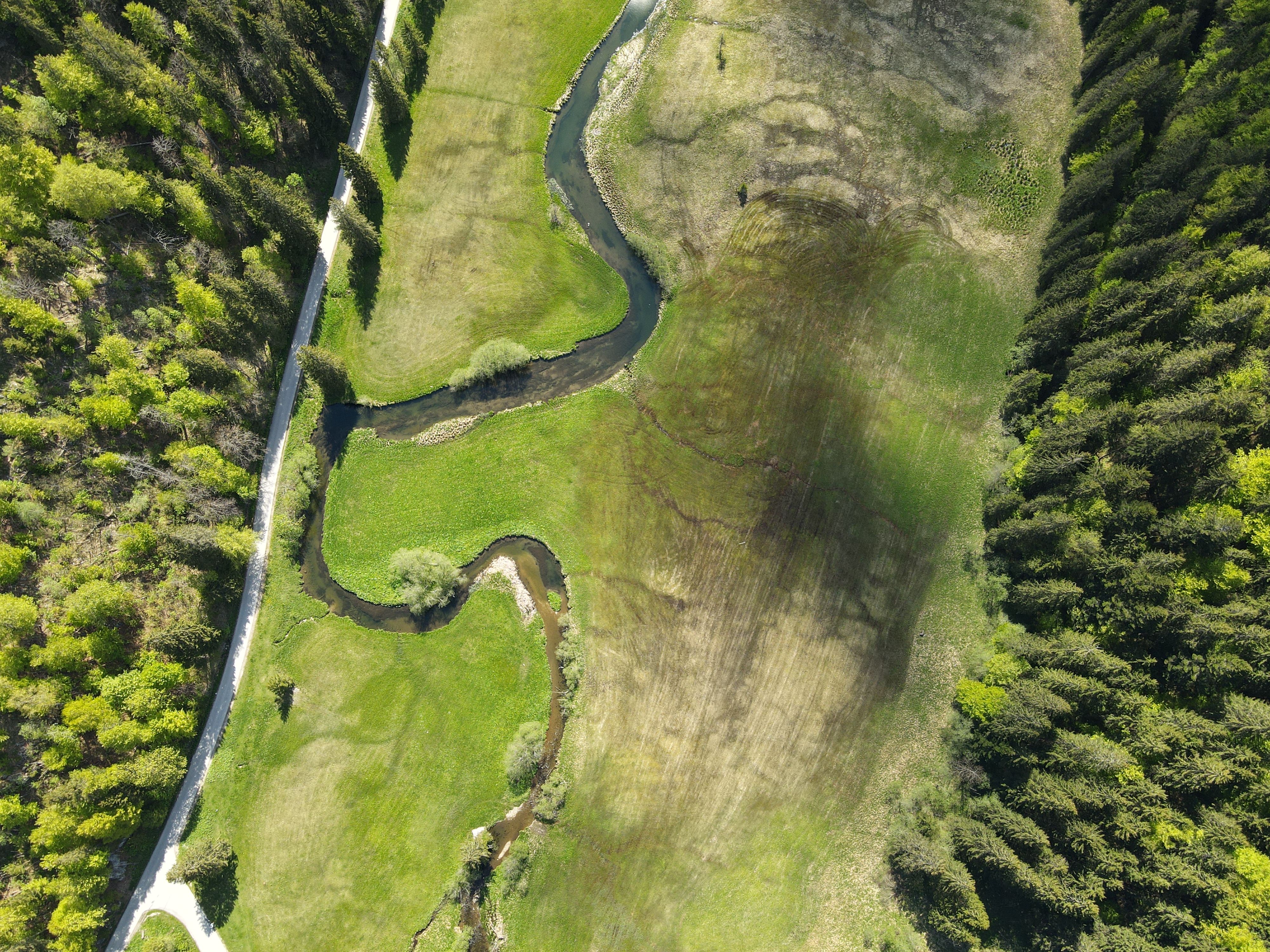 Aerial View of Green Grass Field · Free Stock Photo