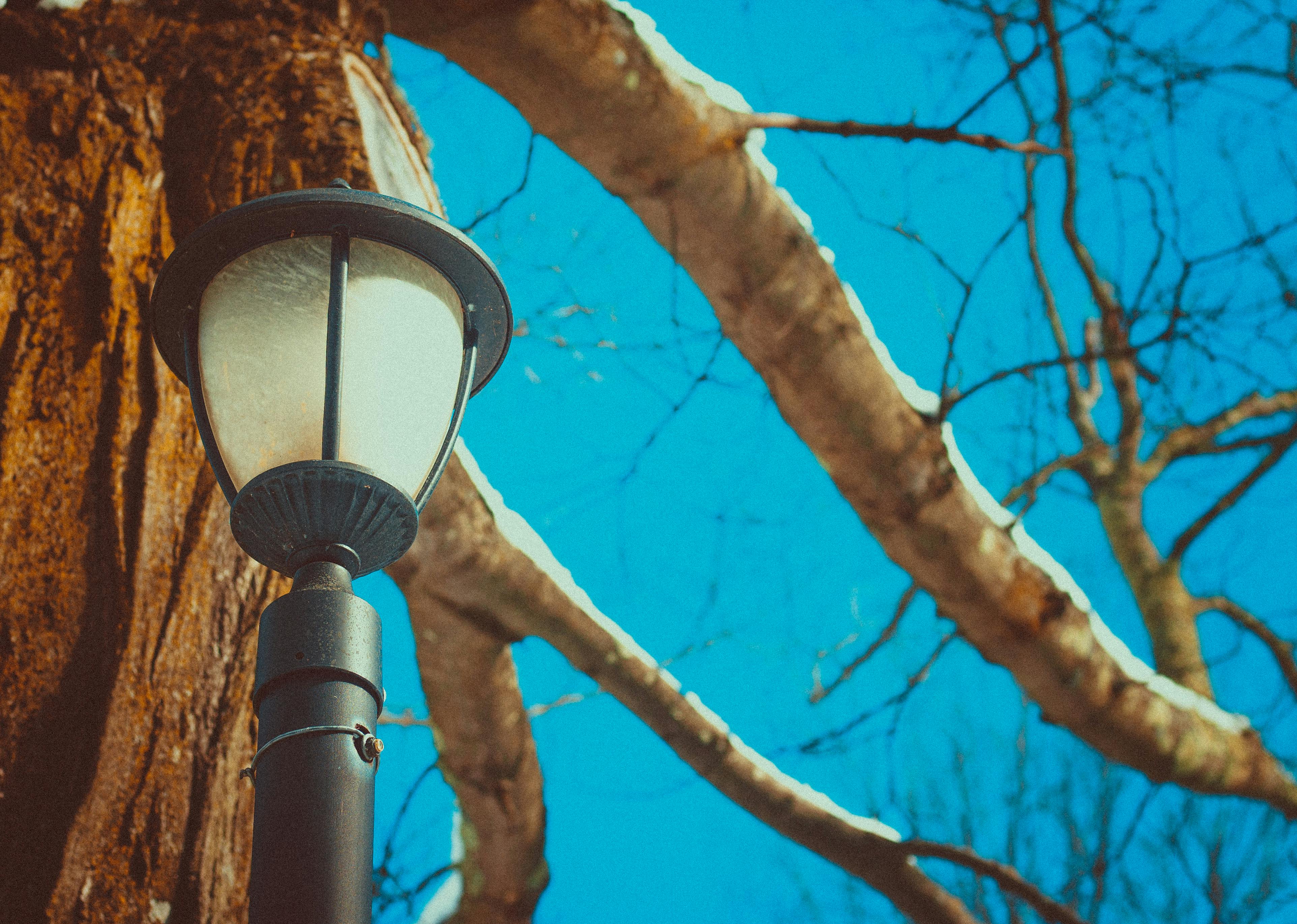 Photograph of Electric Posts · Free Stock Photo