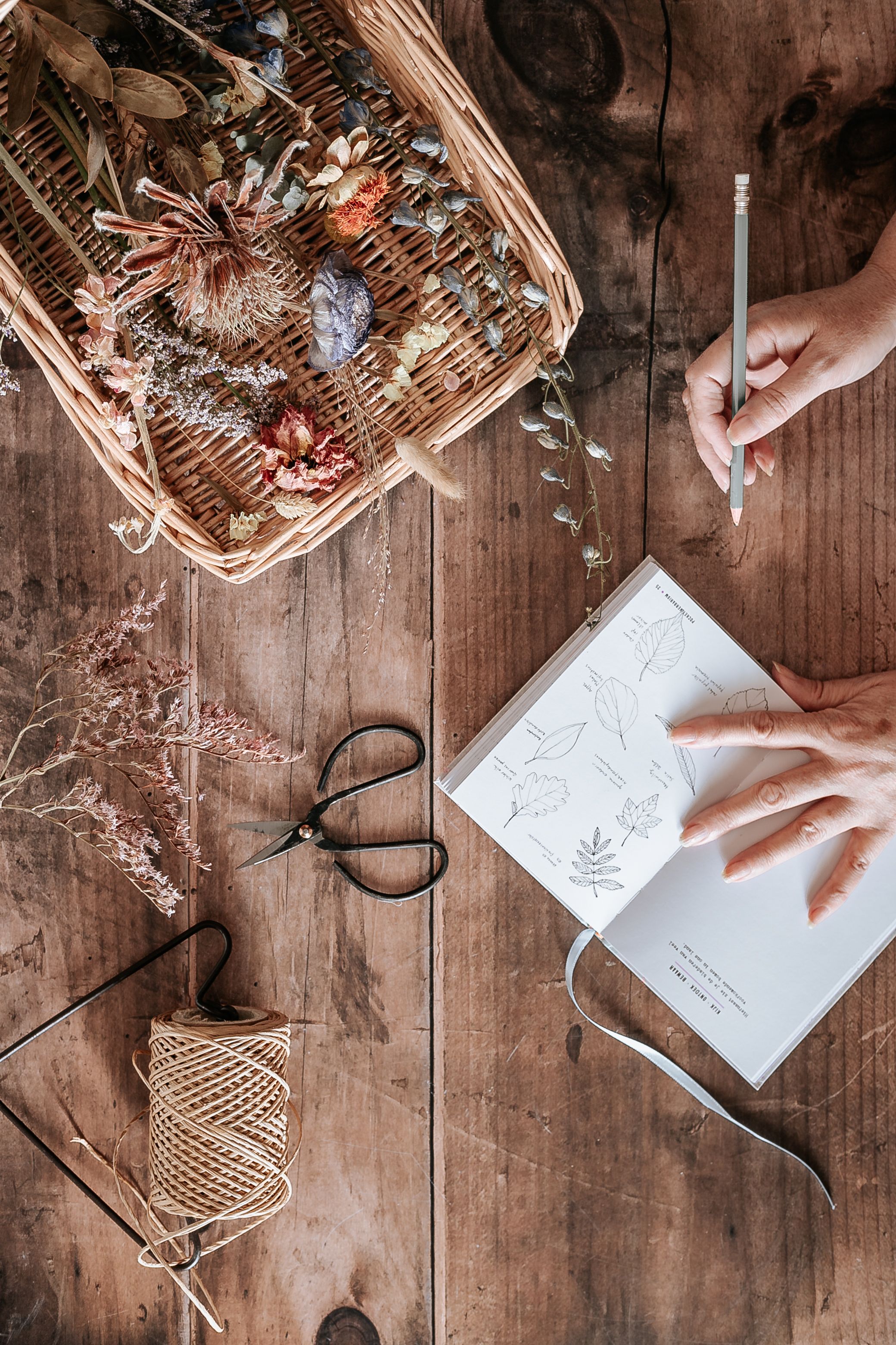 Person Holding Pen Writing on Notebook · Free Stock Photo
