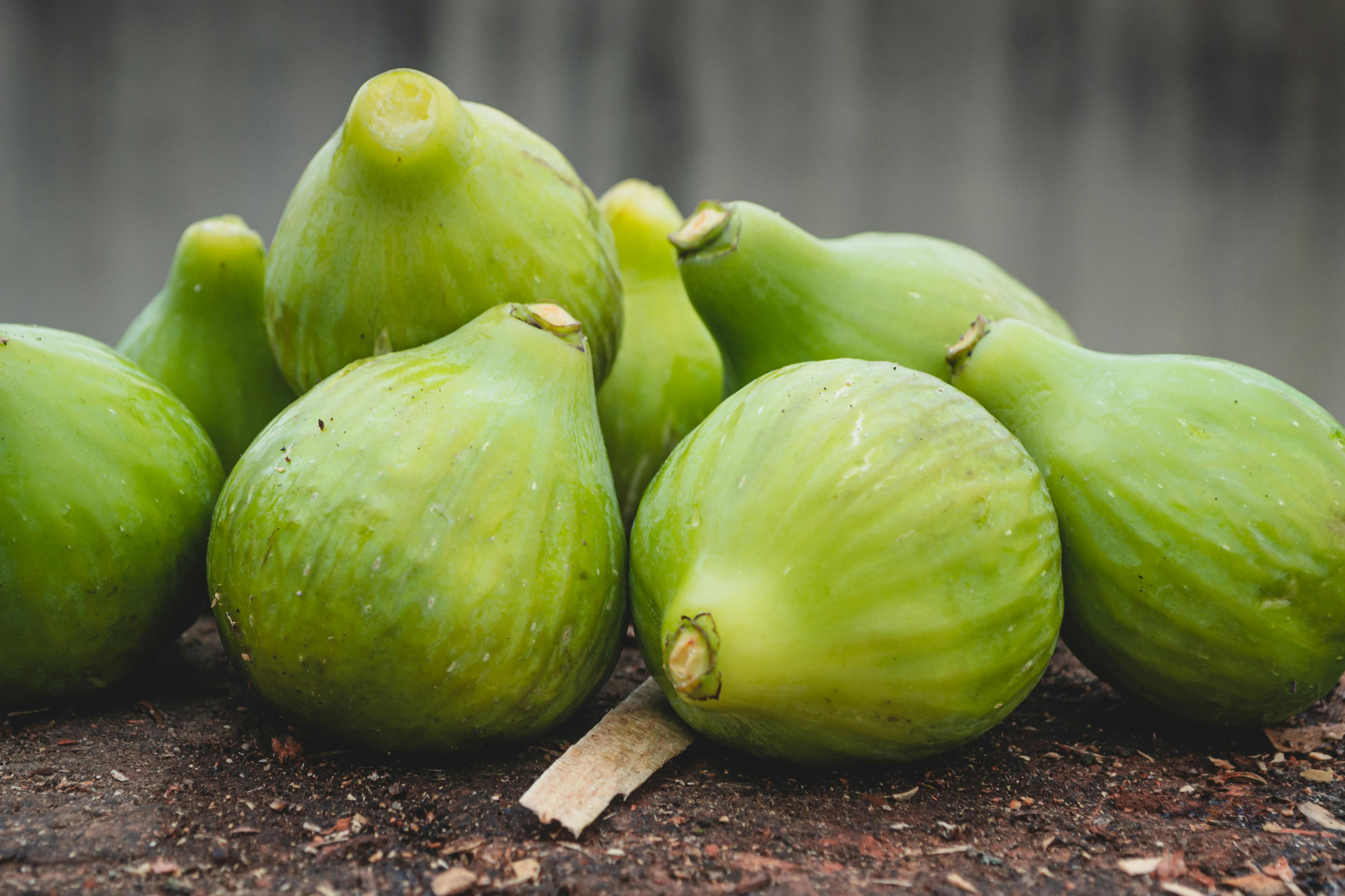 Green Figs Photos, Download The BEST Free Green Figs Stock Photos & HD ...