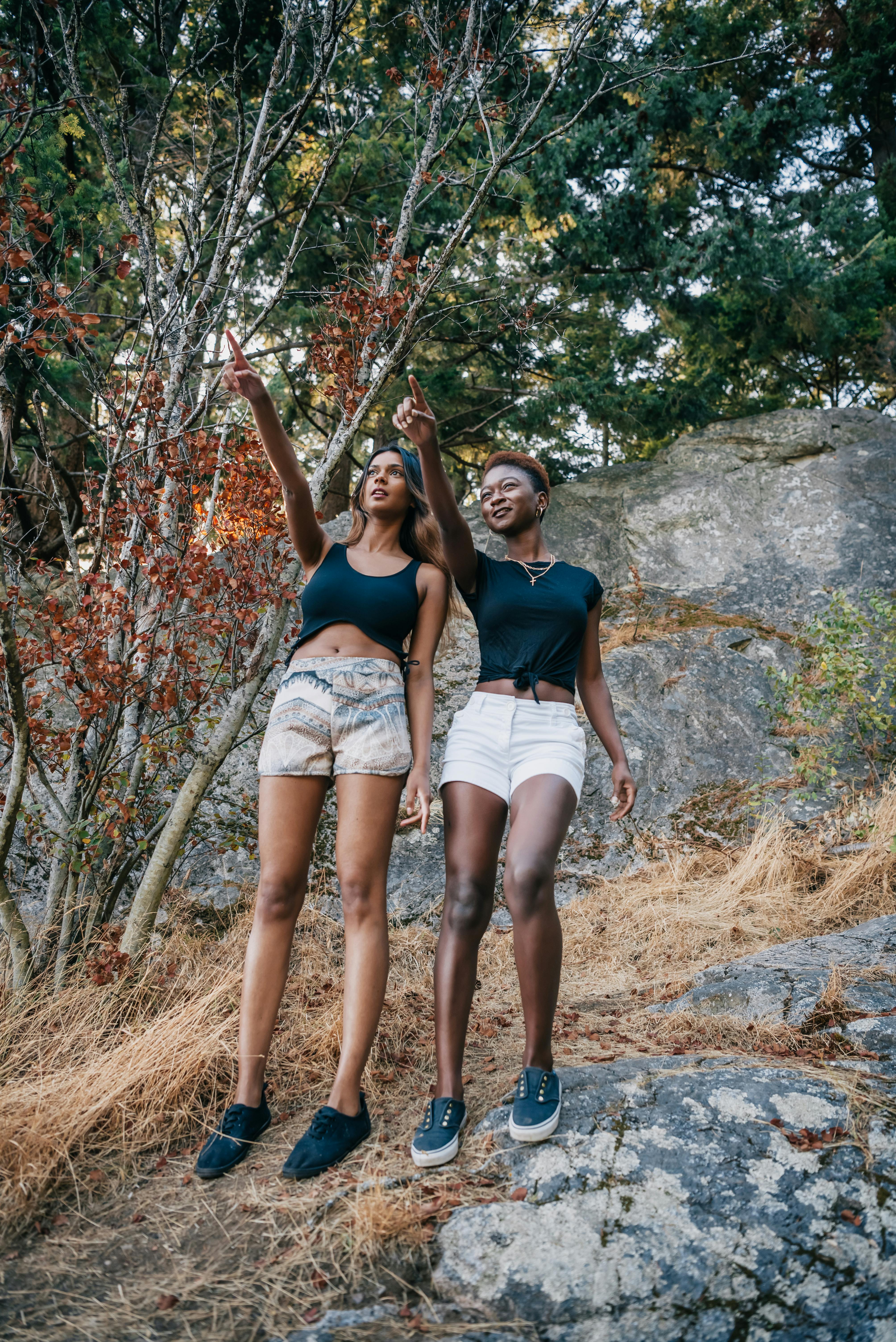 Forest Models Photos, Download The BEST Free Forest Models Stock Photos ...