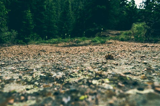 50+ Great Mud Photos · Pexels · Free Stock Photos
