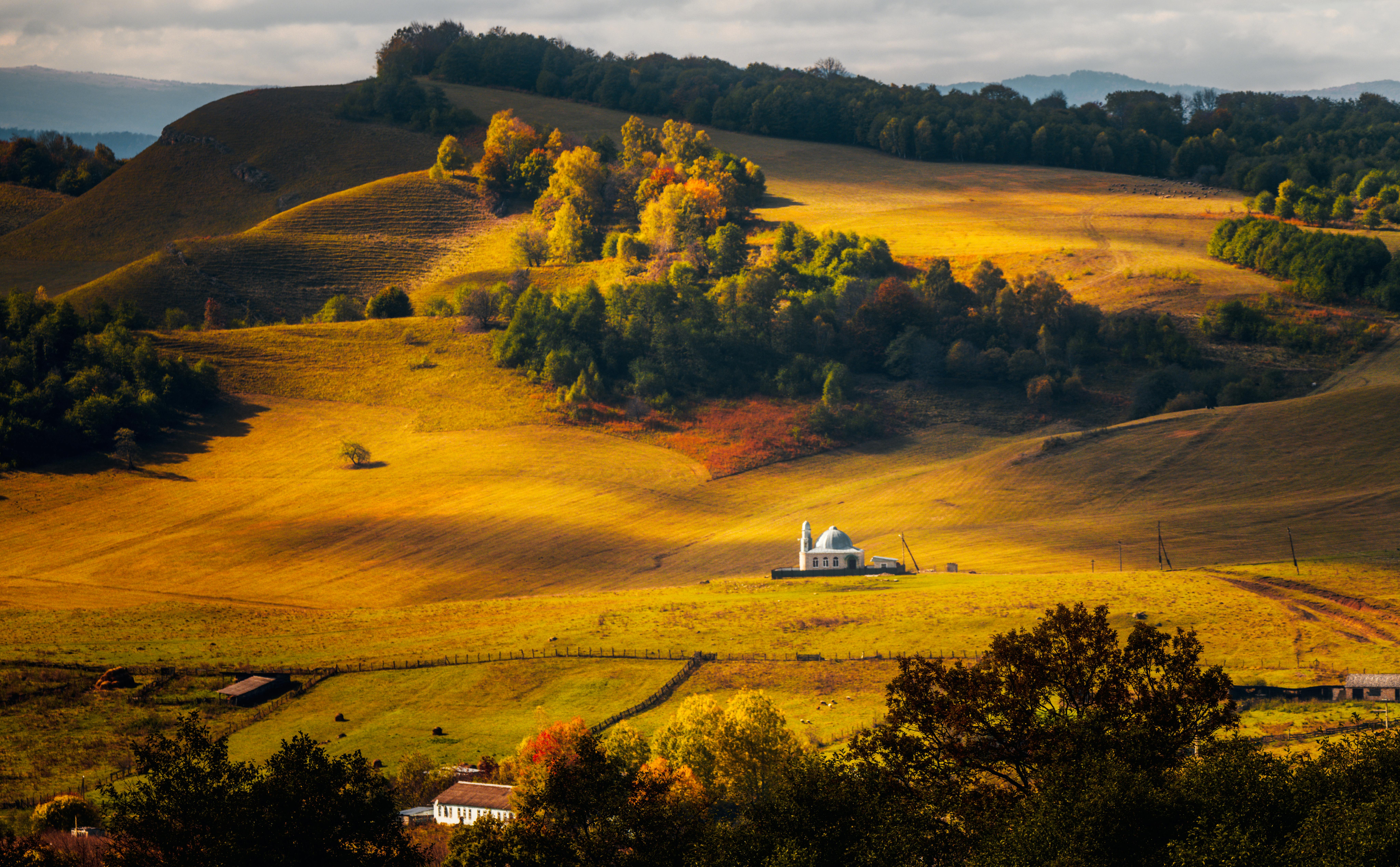 Aerial Photography of Trees on Hills · Free Stock Photo