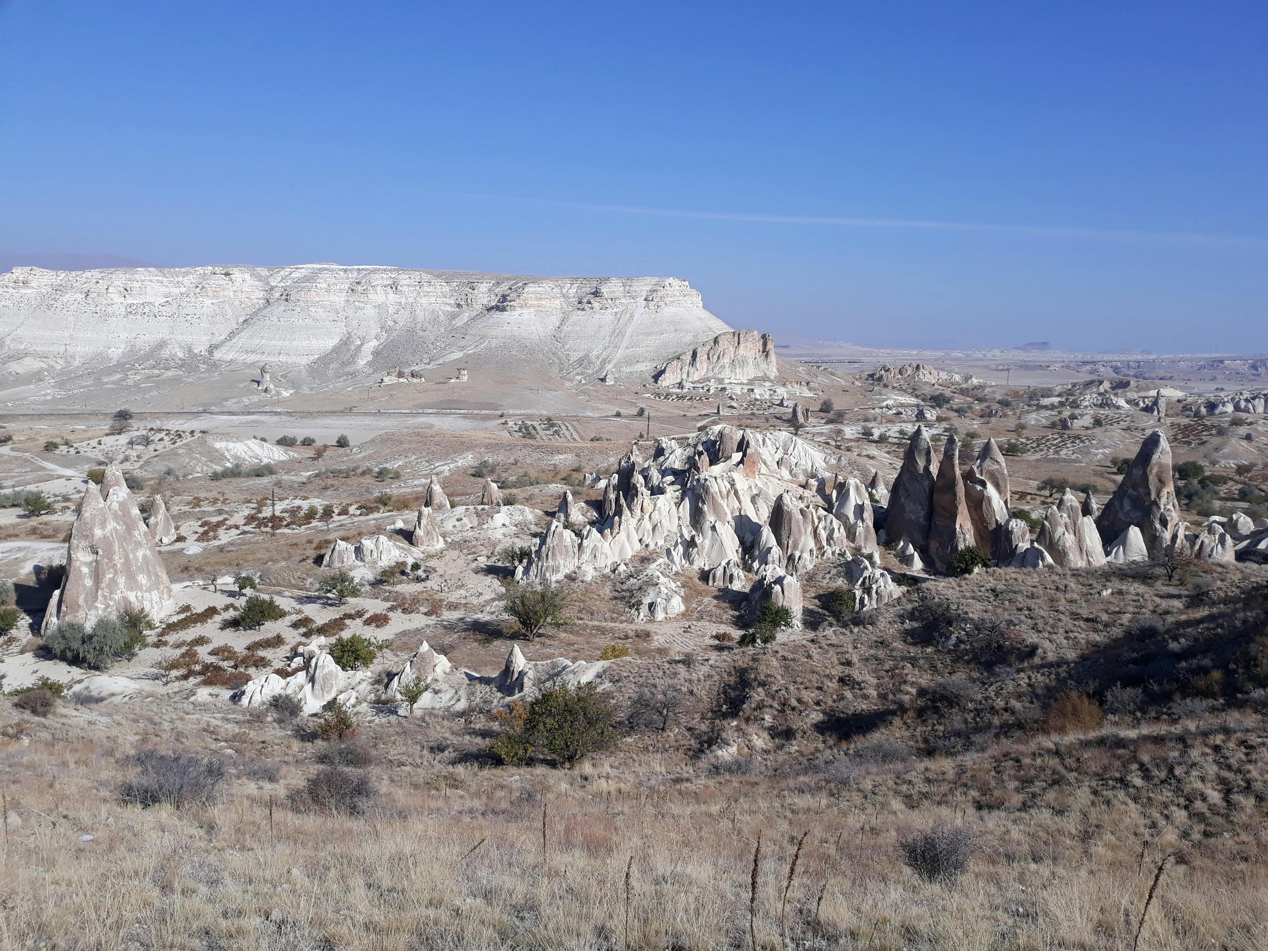 Cronch Photos, Download The BEST Free Cronch Stock Photos & HD Images