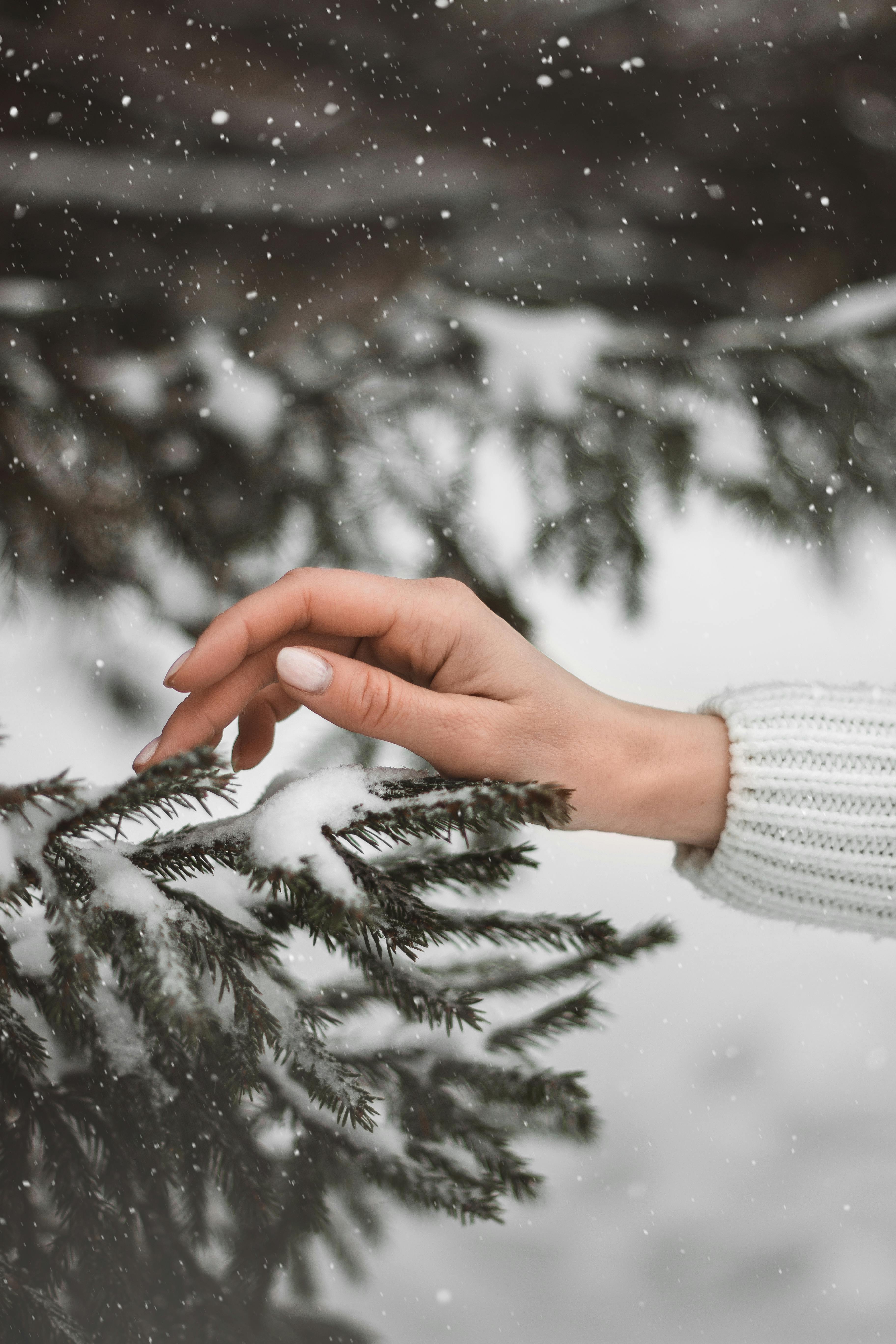Hand Touching Snow Photos, Download The BEST Free Hand Touching Snow ...