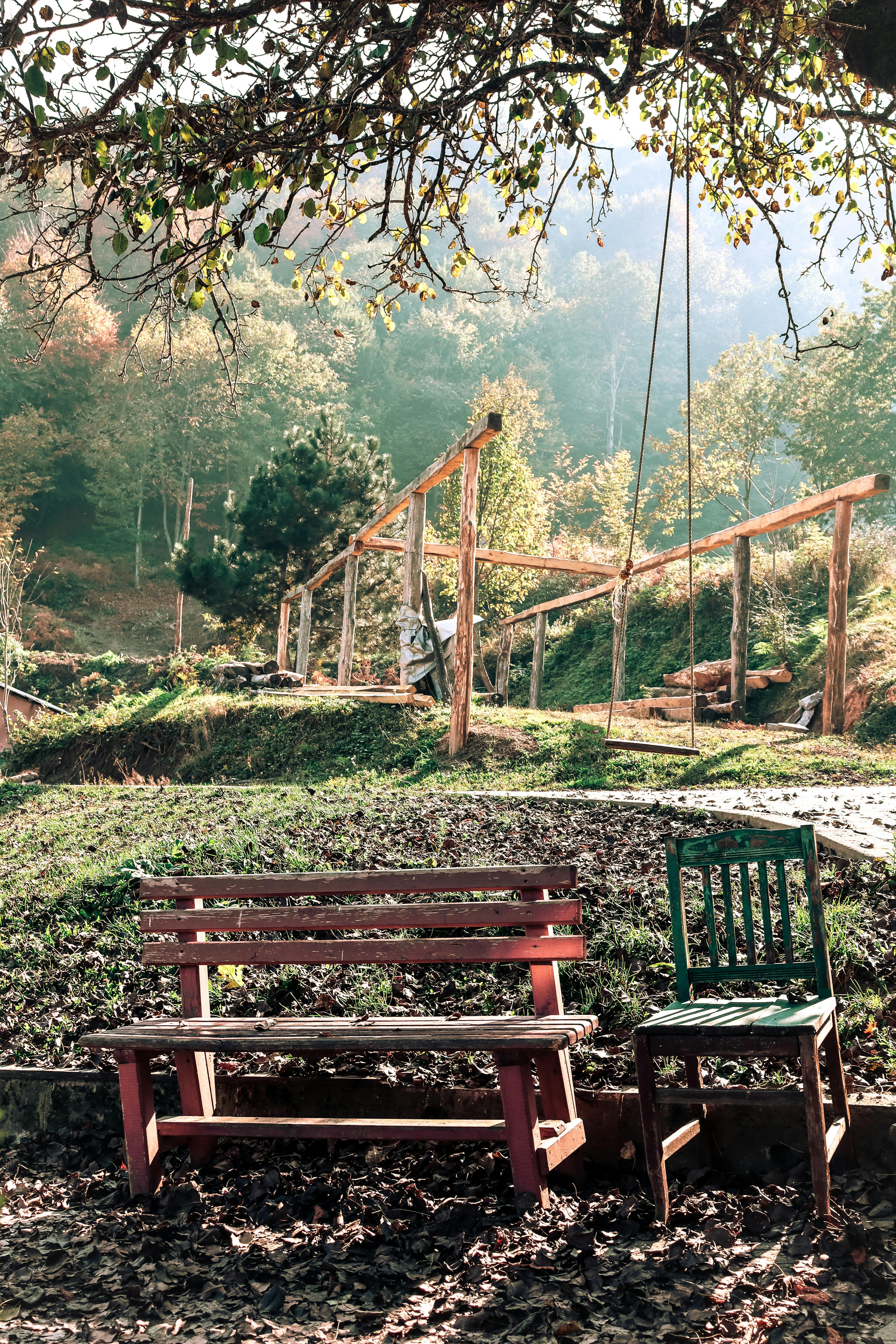 Wooden Bench and Chair under a Tree · Free Stock Photo