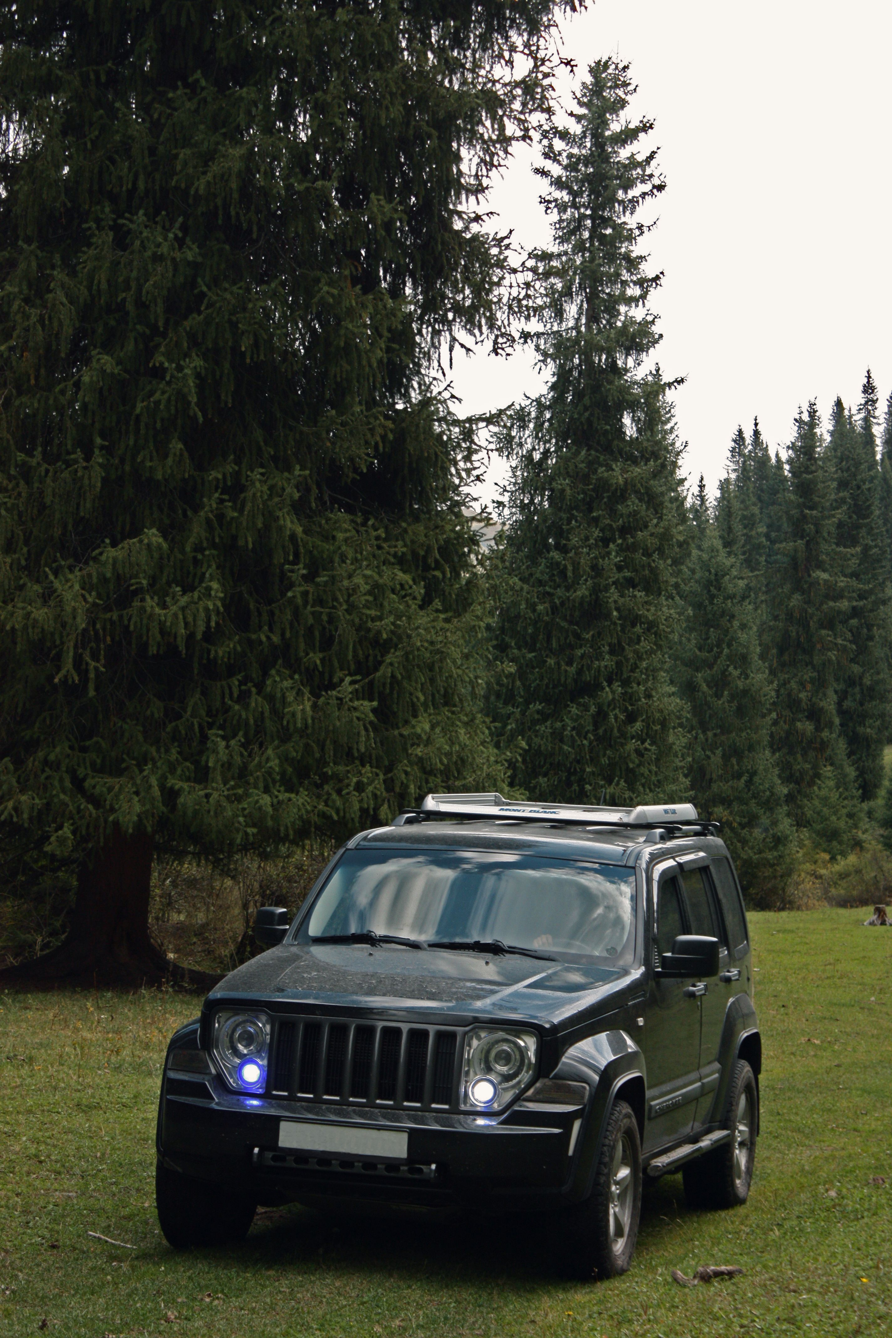 Gray Jeep Car on Green Grass with Trees · Free Stock Photo