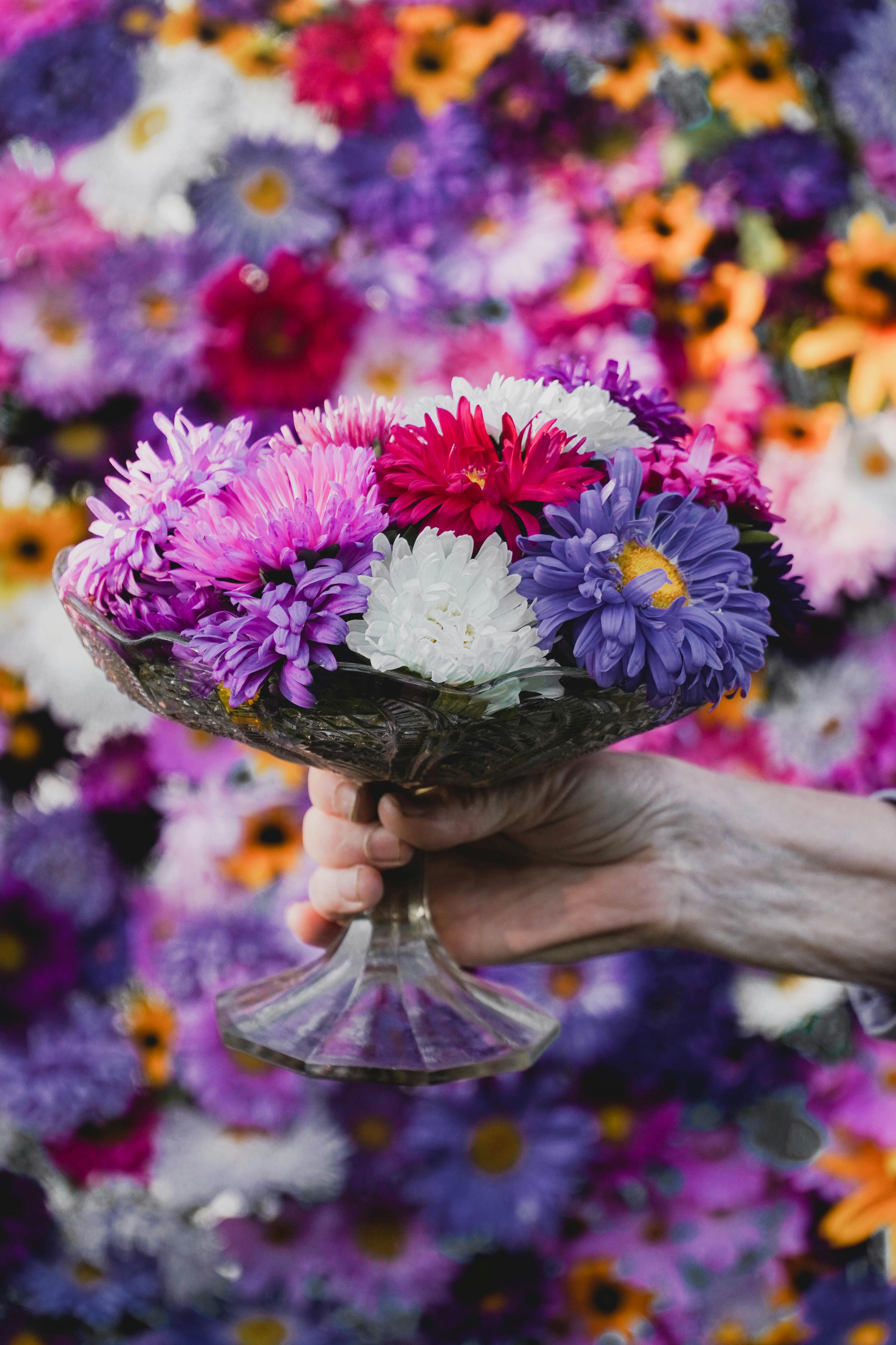 Aster Flowers on Glass Container · Free Stock Photo