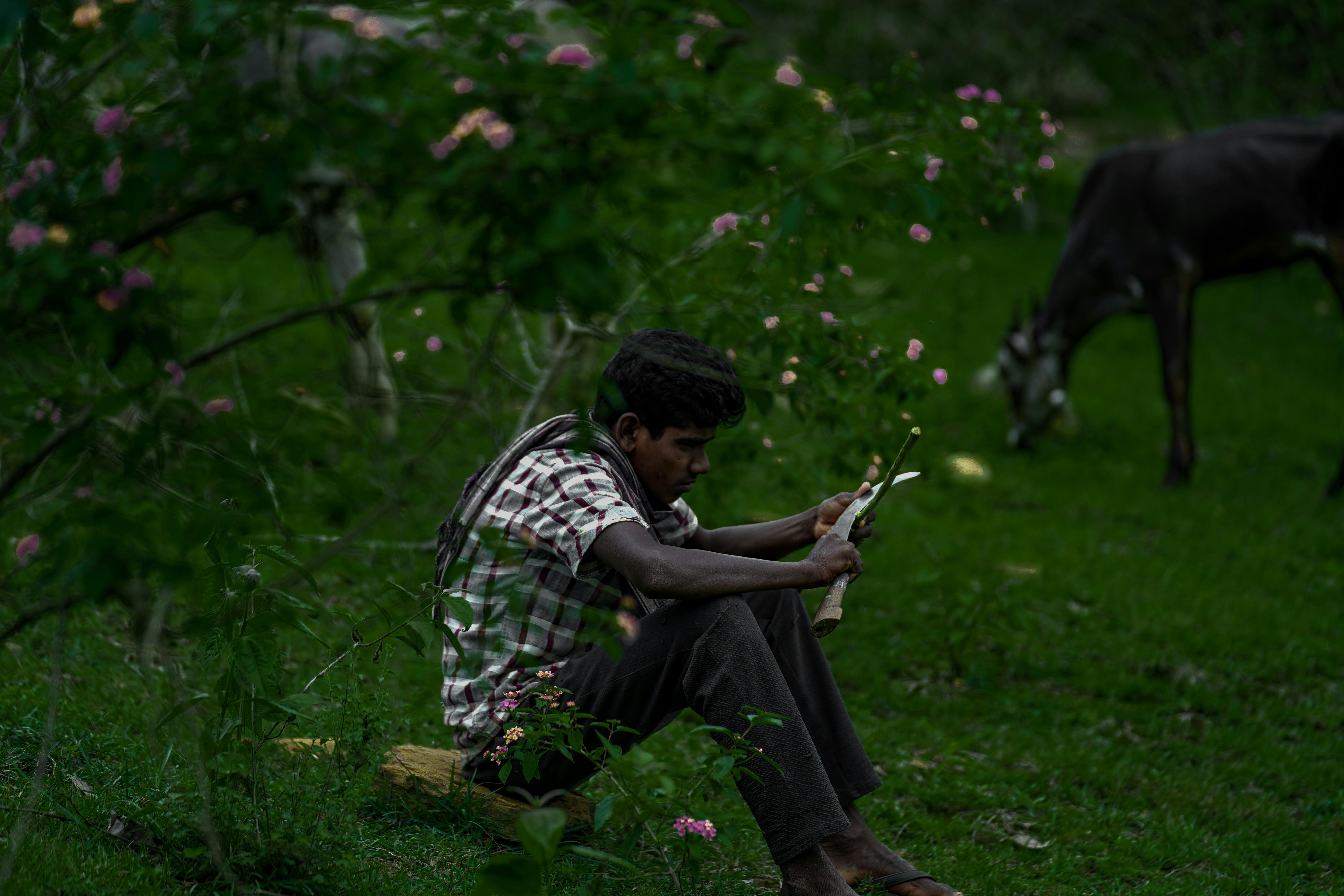 Man using a Sickle on a Stick · Free Stock Photo