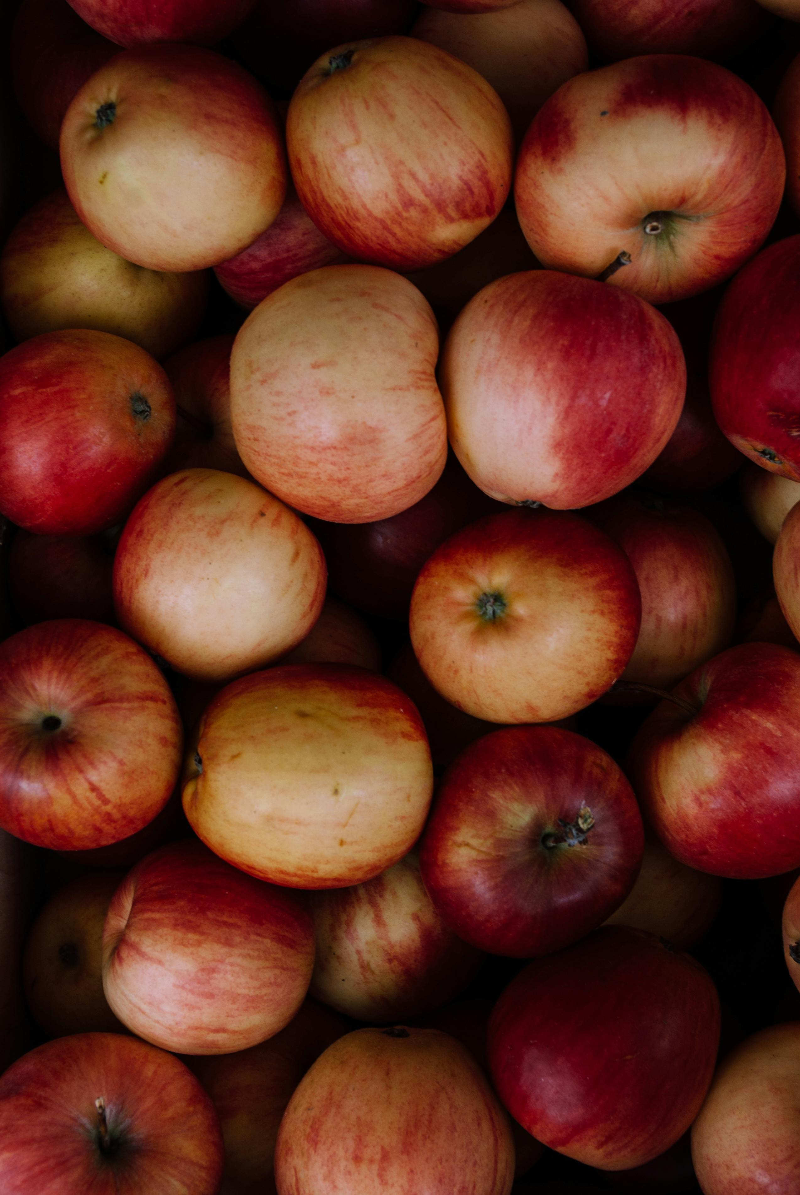 Red Apple Lot · Free Stock Photo