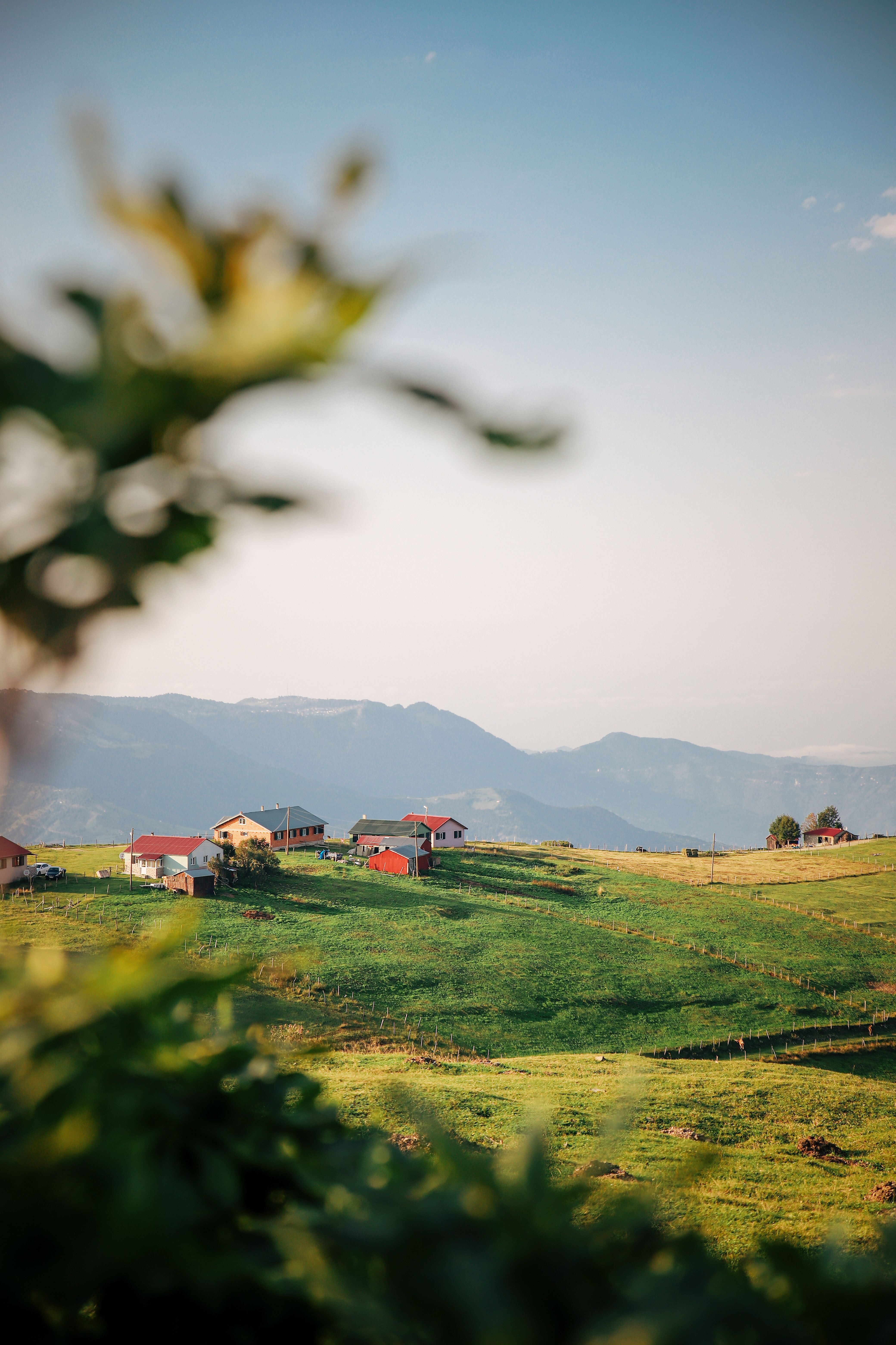High-angle Photography of Rural Area · Free Stock Photo