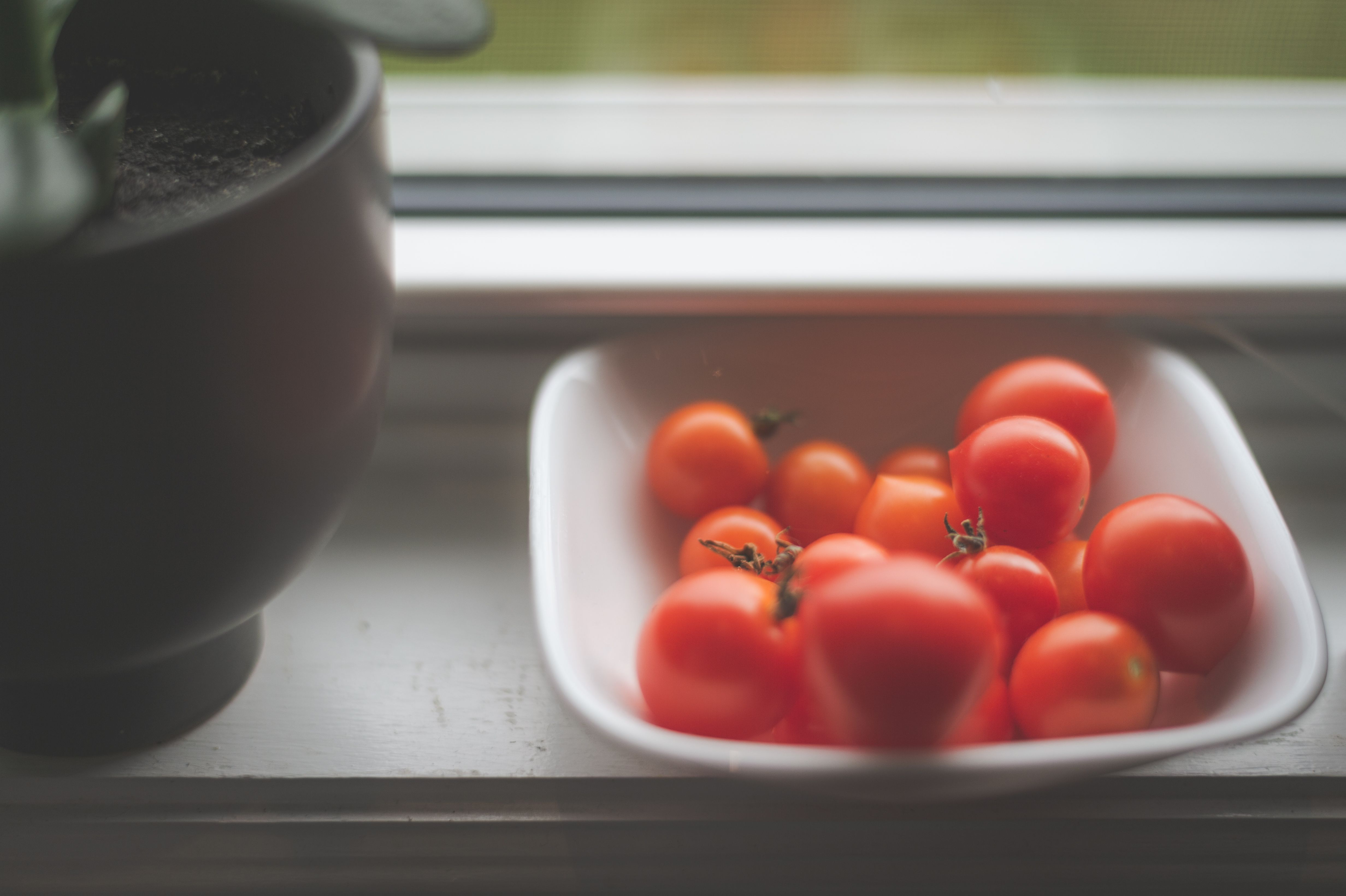 A Bowl of Tomatoes by the Window · Free Stock Photo