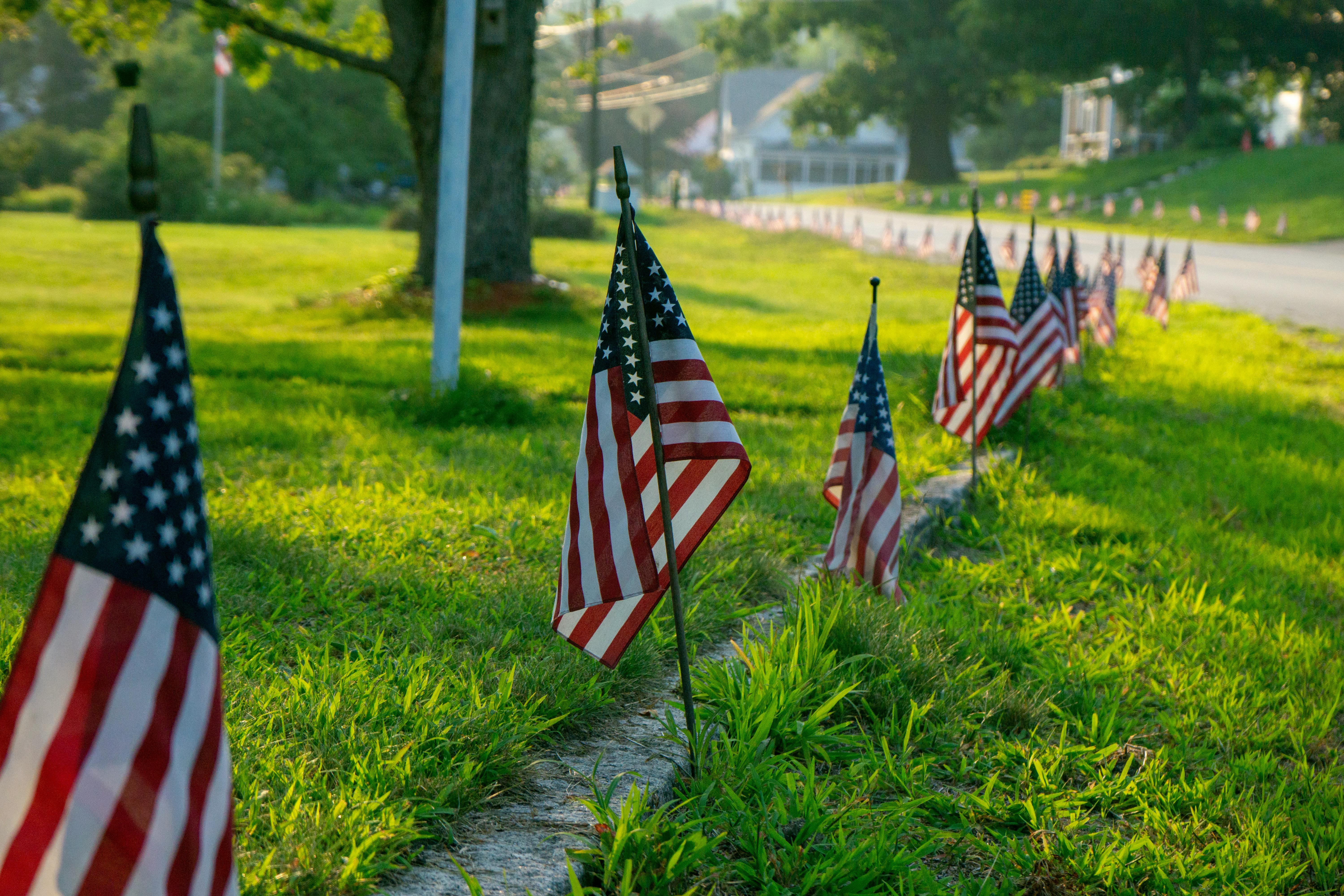 American Flaglets on the Grass · Free Stock Photo
