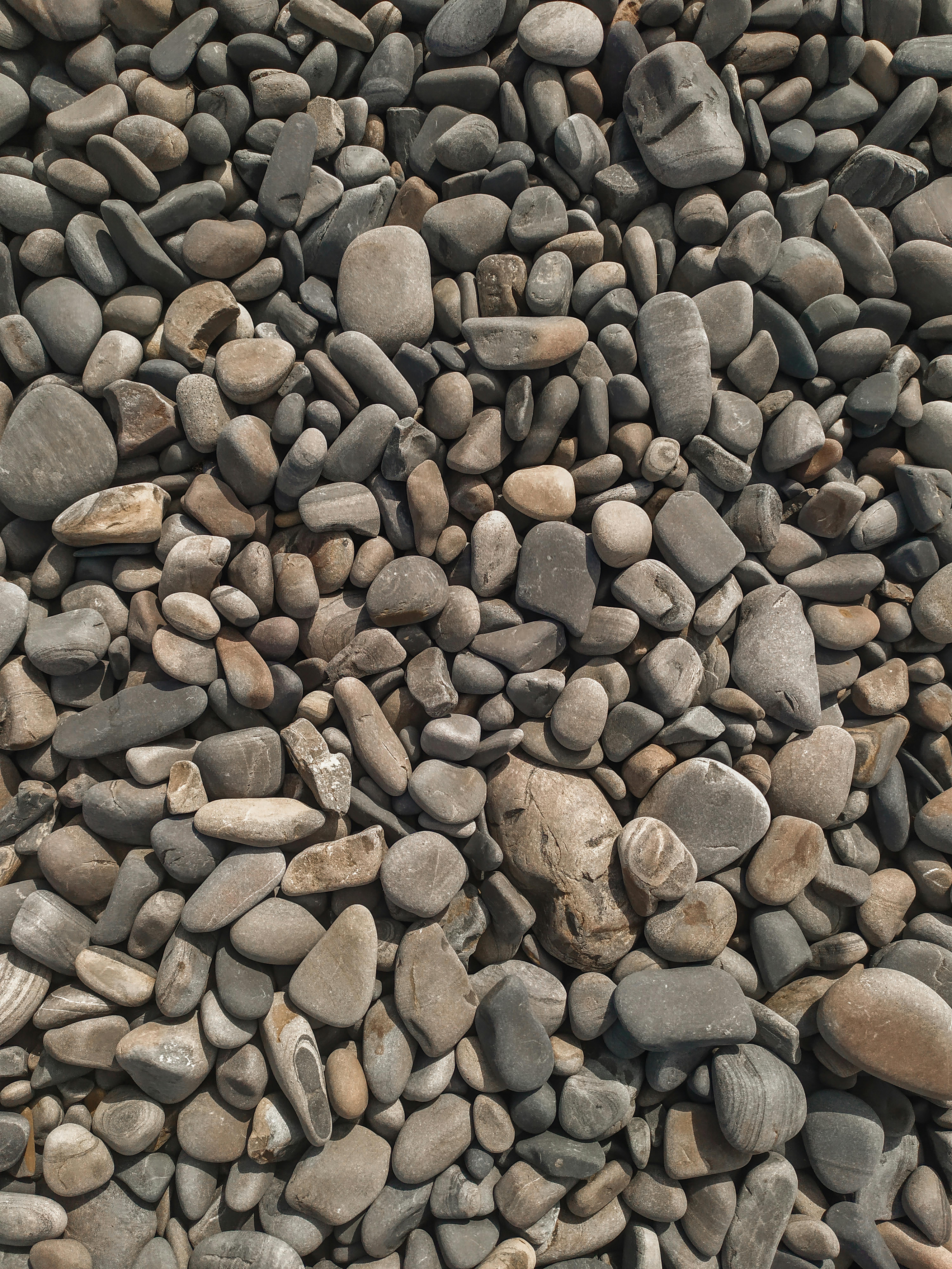 Rocks on the Ground · Free Stock Photo