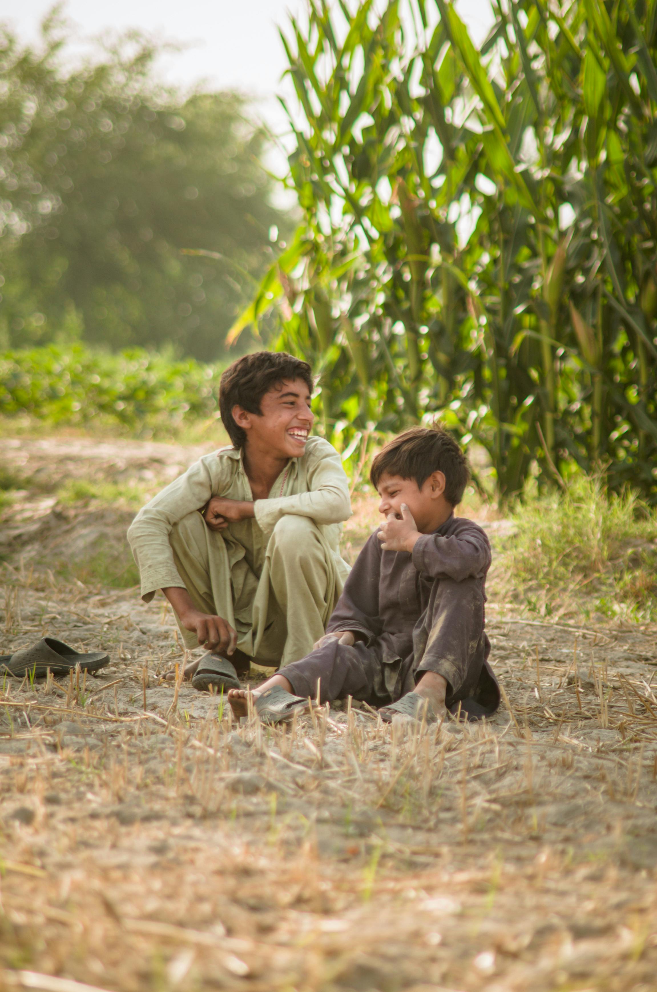 Children Playing on the Flower Field · Free Stock Photo