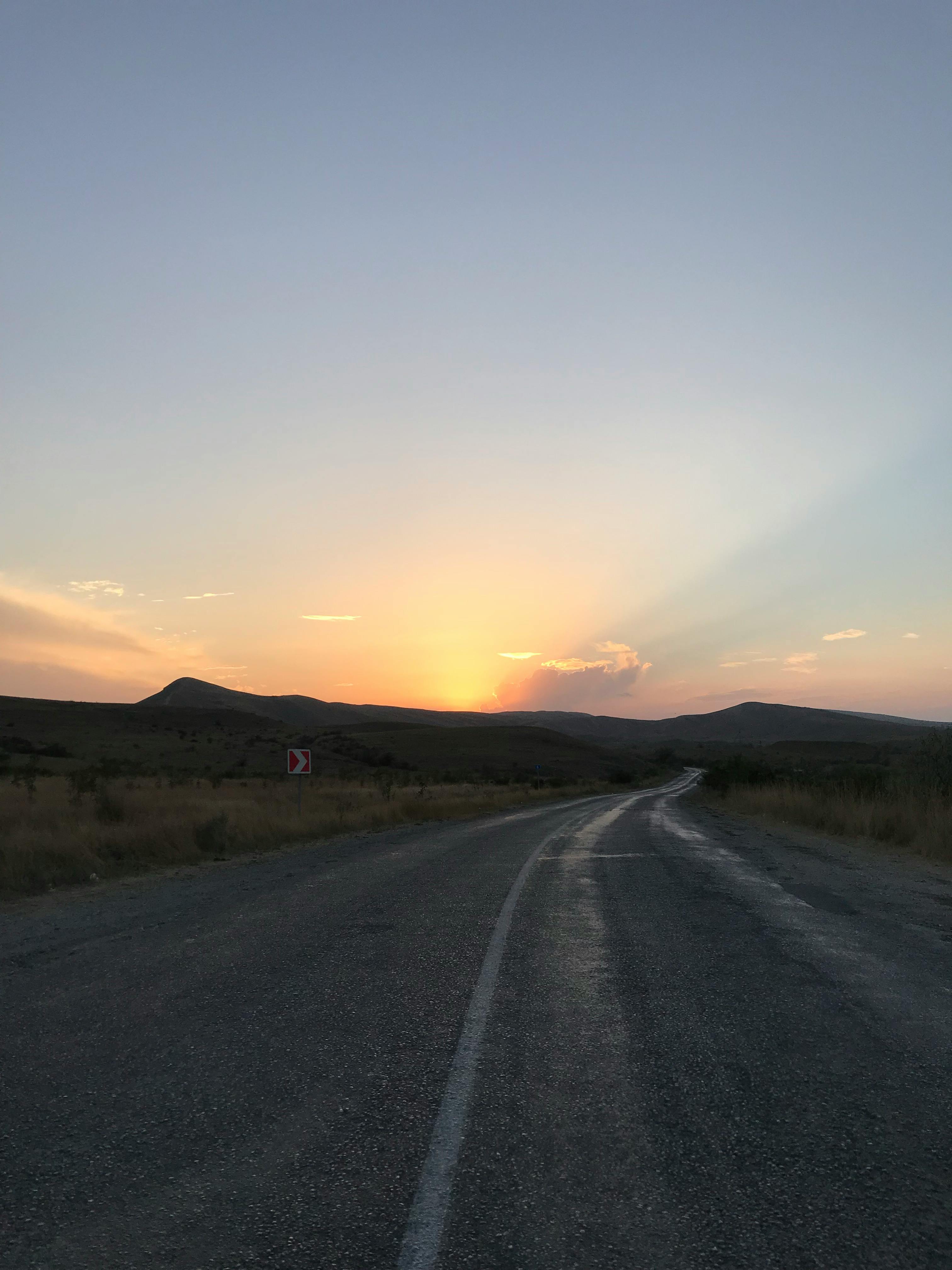 Forest Signs Photos, Download The BEST Free Forest Signs Stock Photos ...