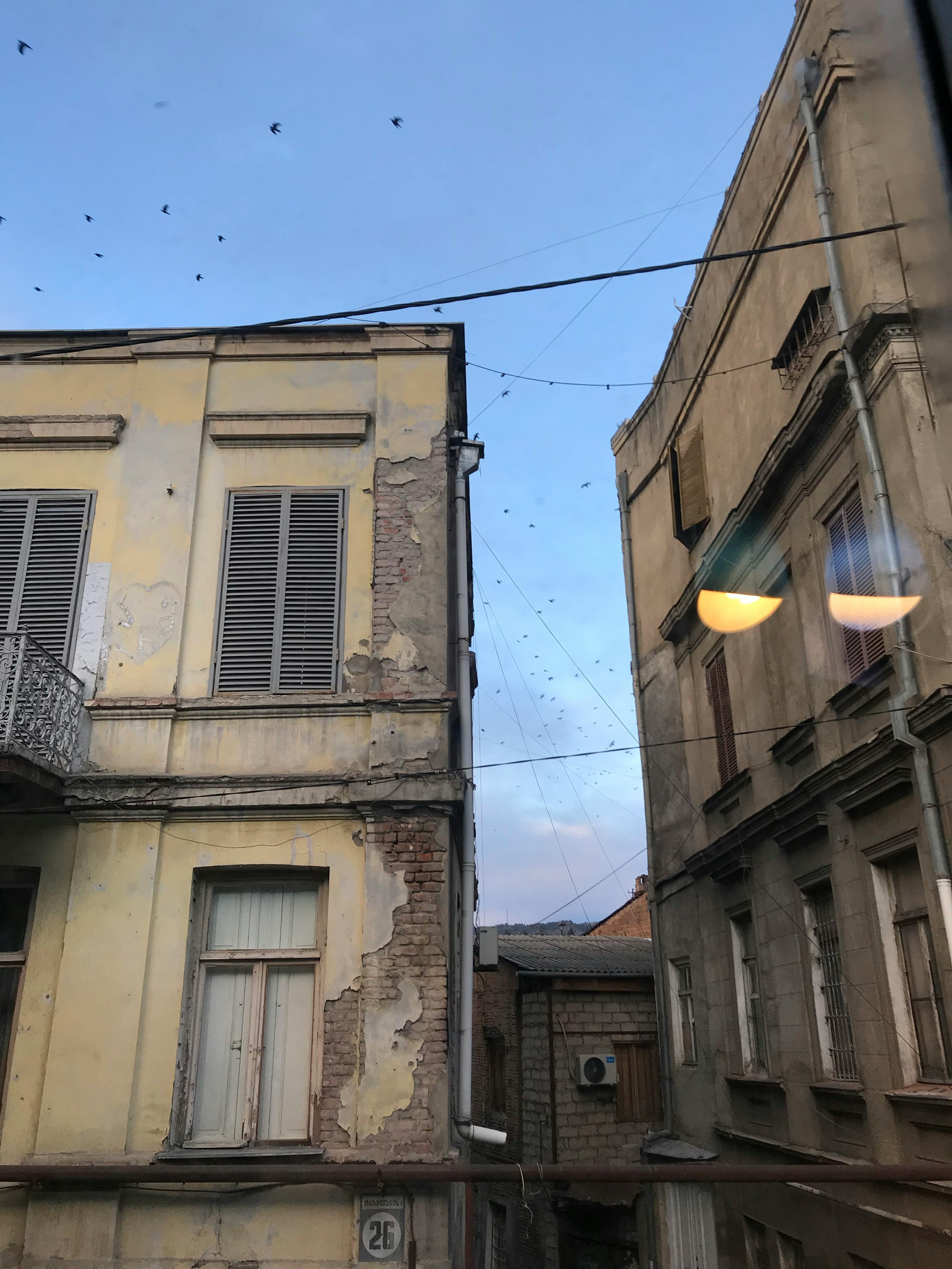 Neglected Photos, Download The BEST Free Neglected Stock Photos & HD Images