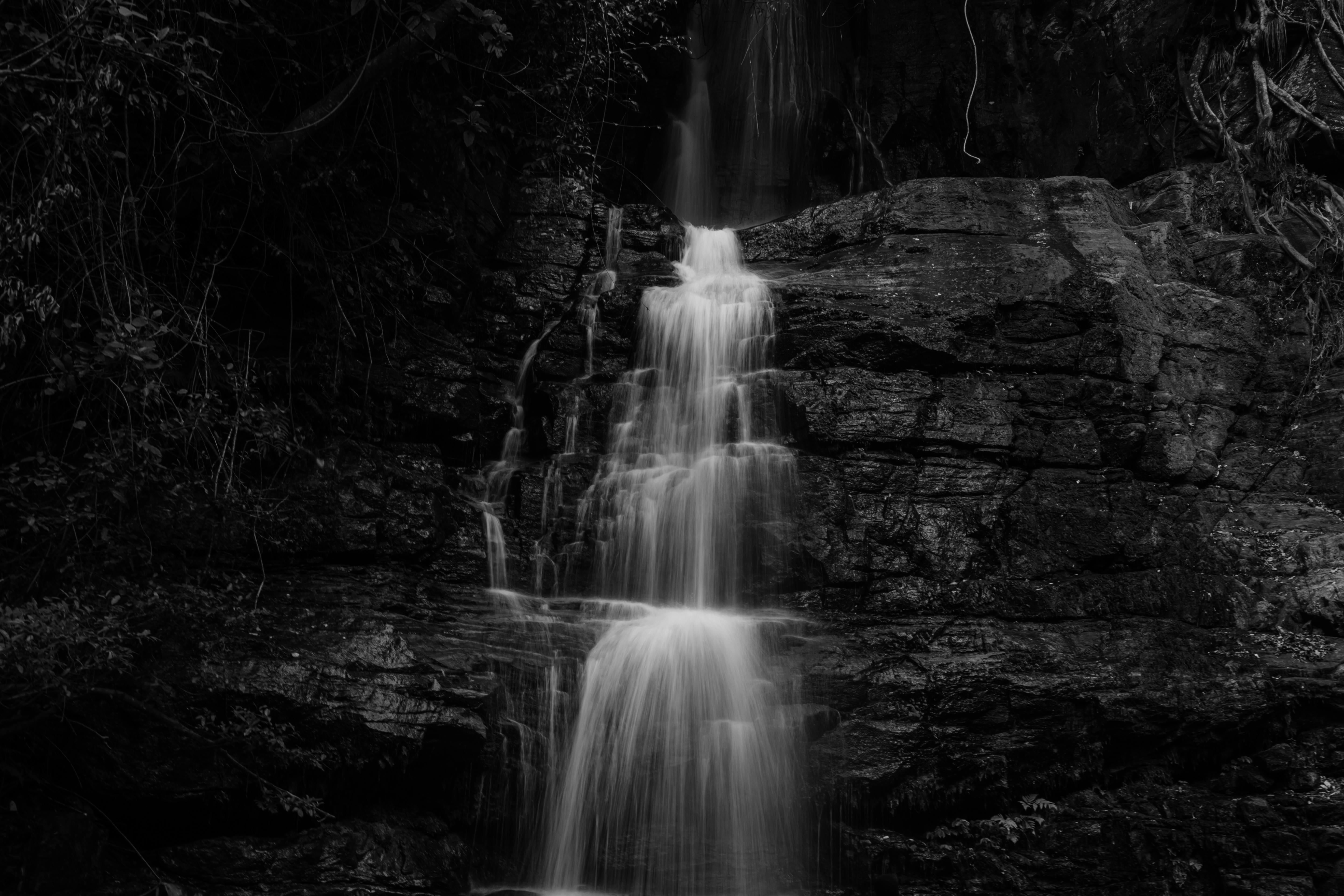 Grayscale Photo of Waterfall in the Forest · Free Stock Photo