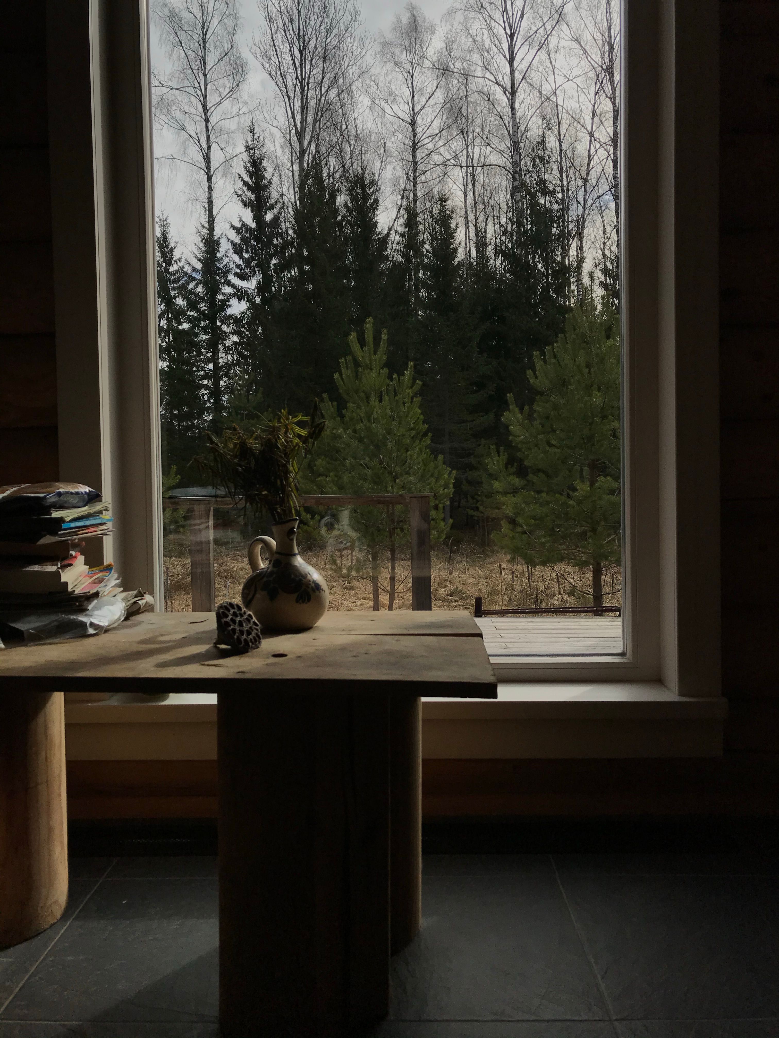 Green Trees Through Glass Window · Free Stock Photo