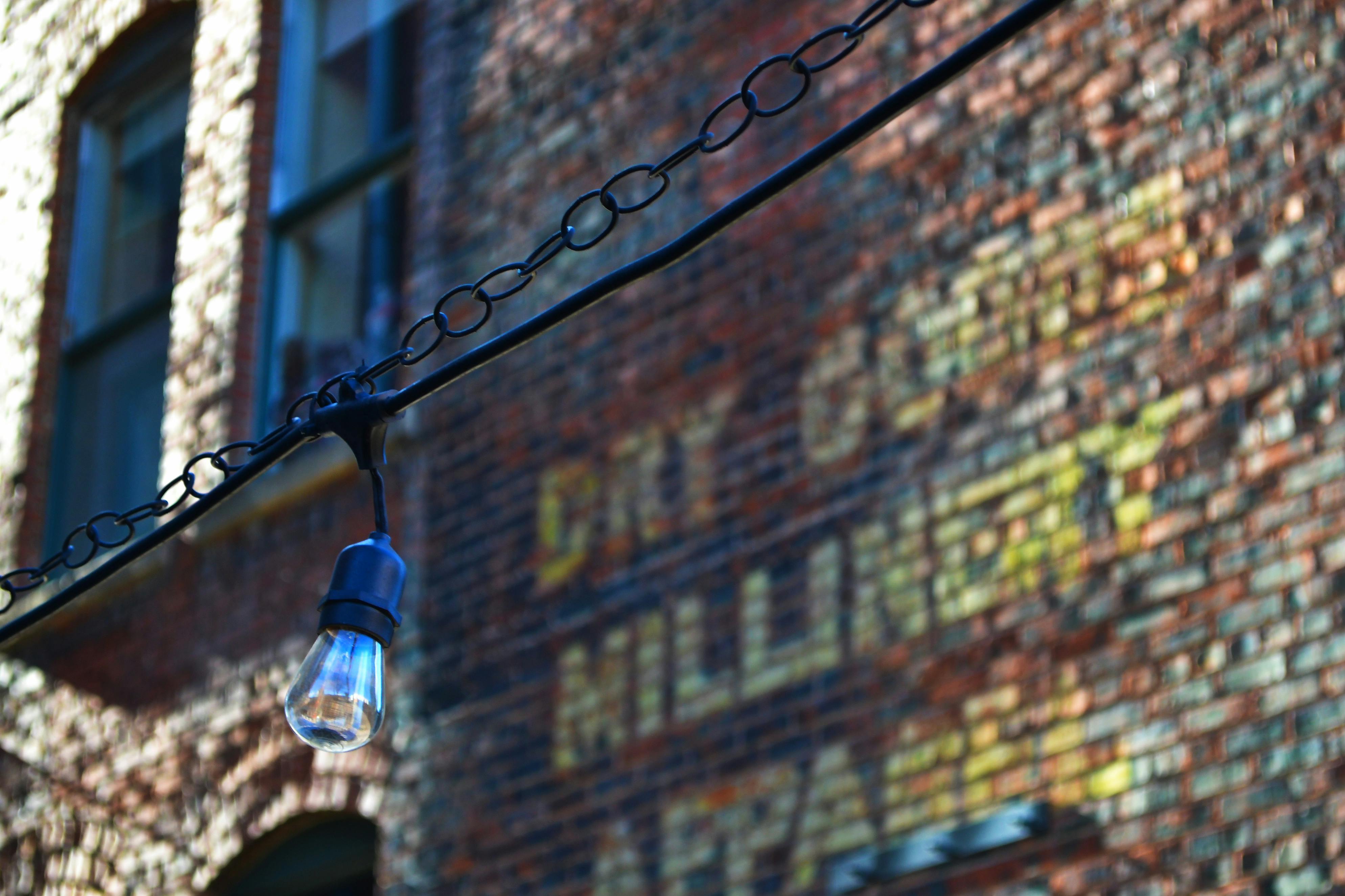 Black String Light · Free Stock Photo