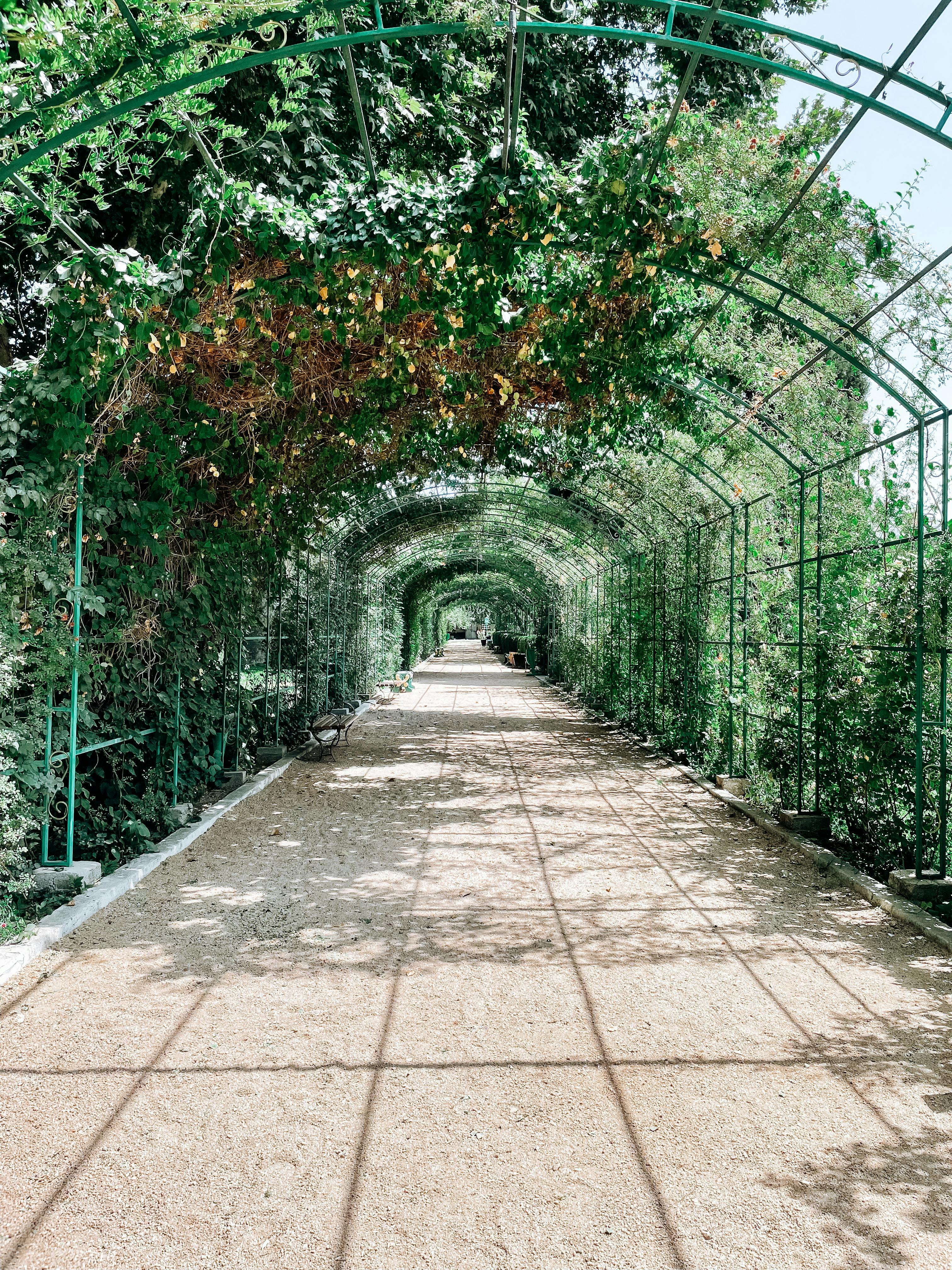 Pathway in Botanical Garden · Free Stock Photo