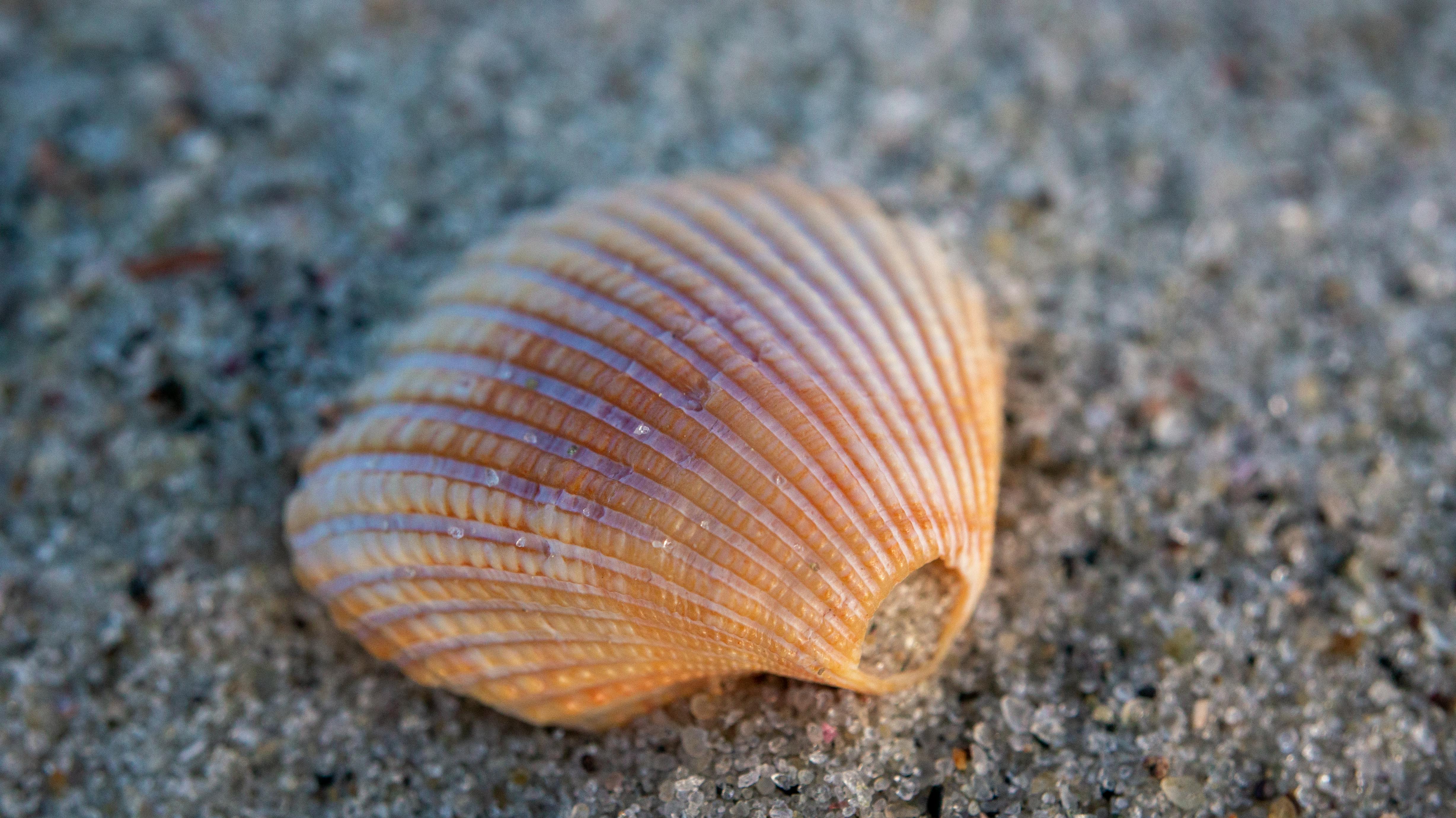 Connor Slade - fotografia