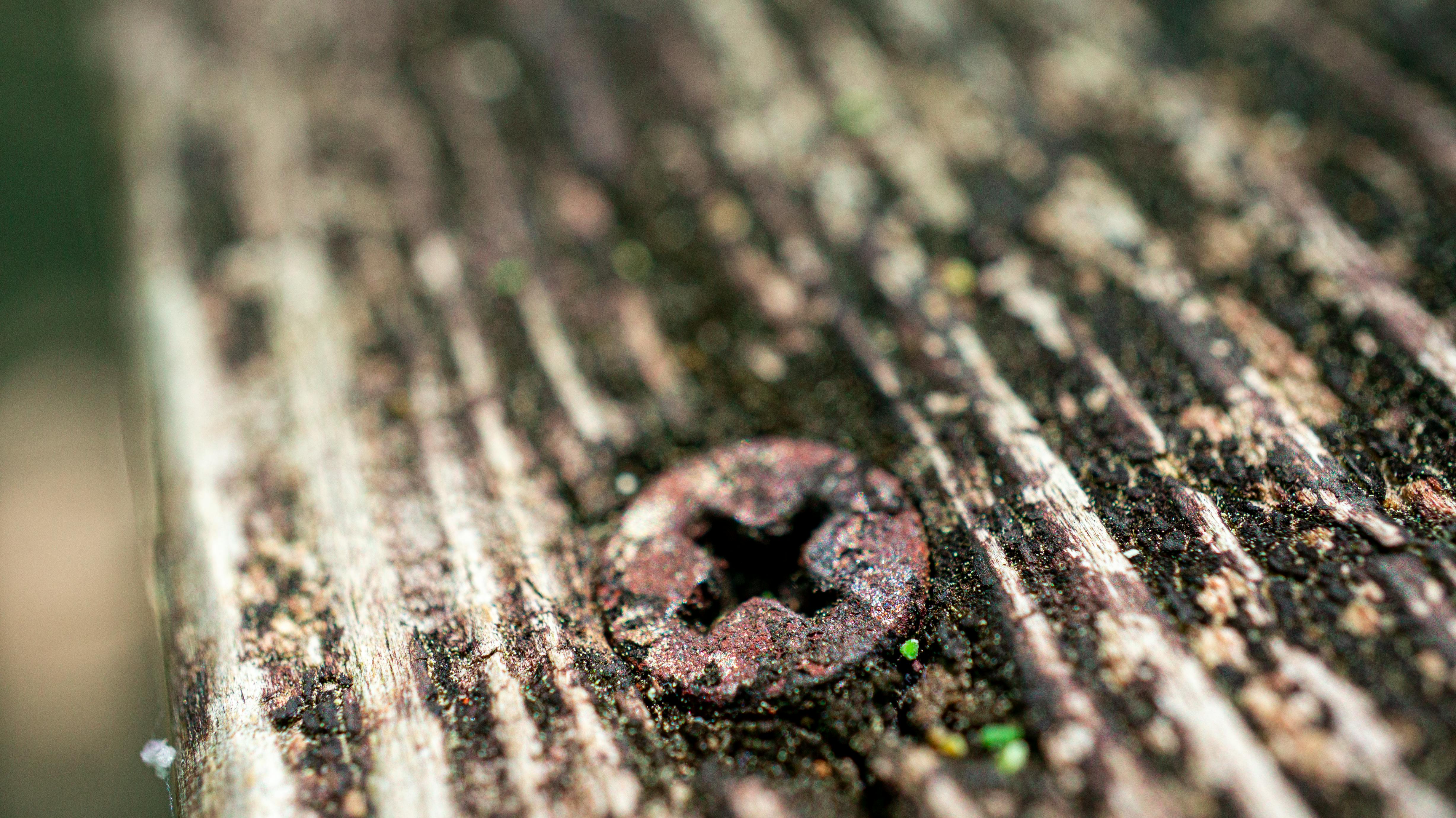 Connor Slade - Photography