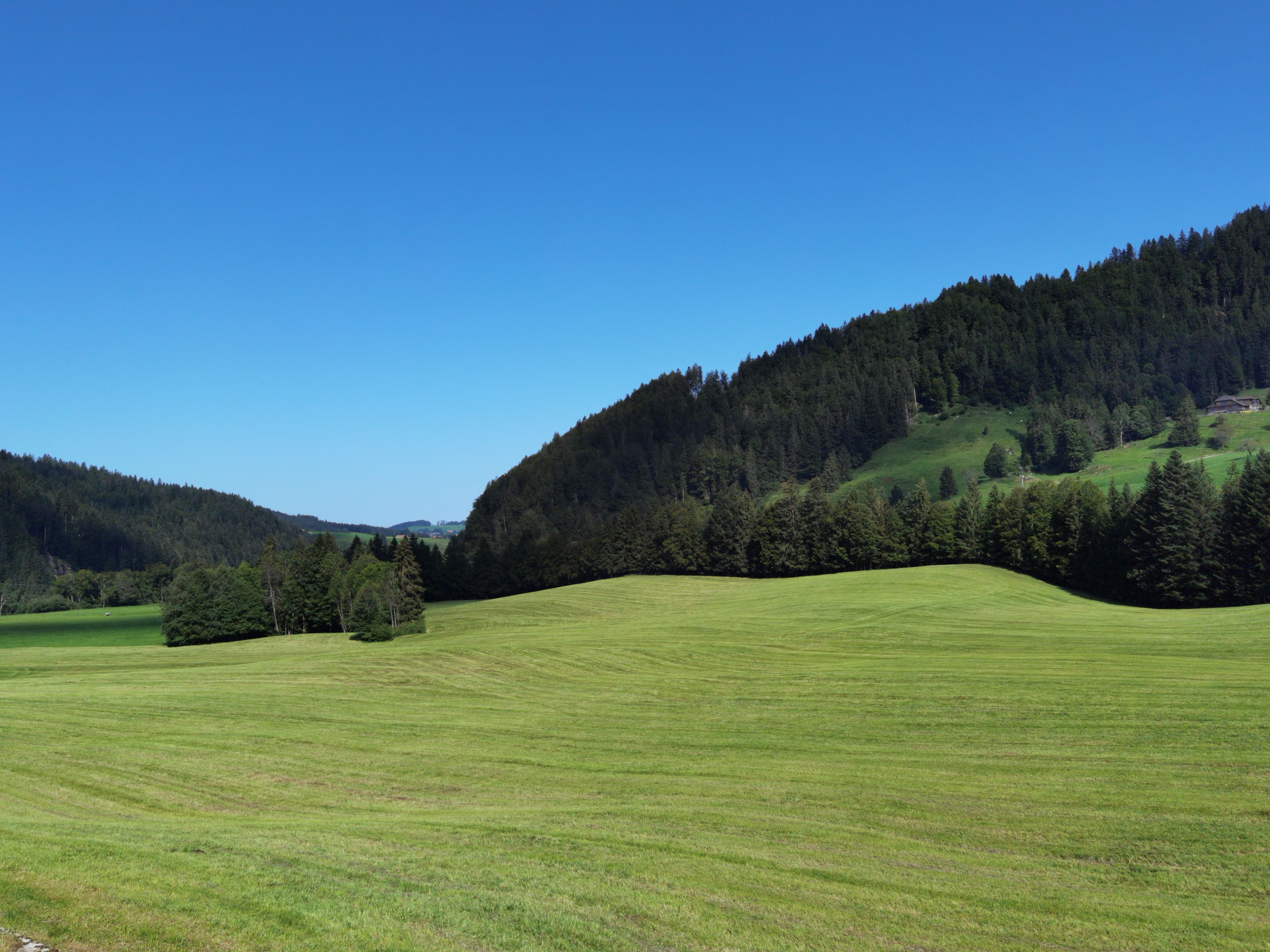 Green Grass Field Near Tree Covered Hills Free Stock Photo