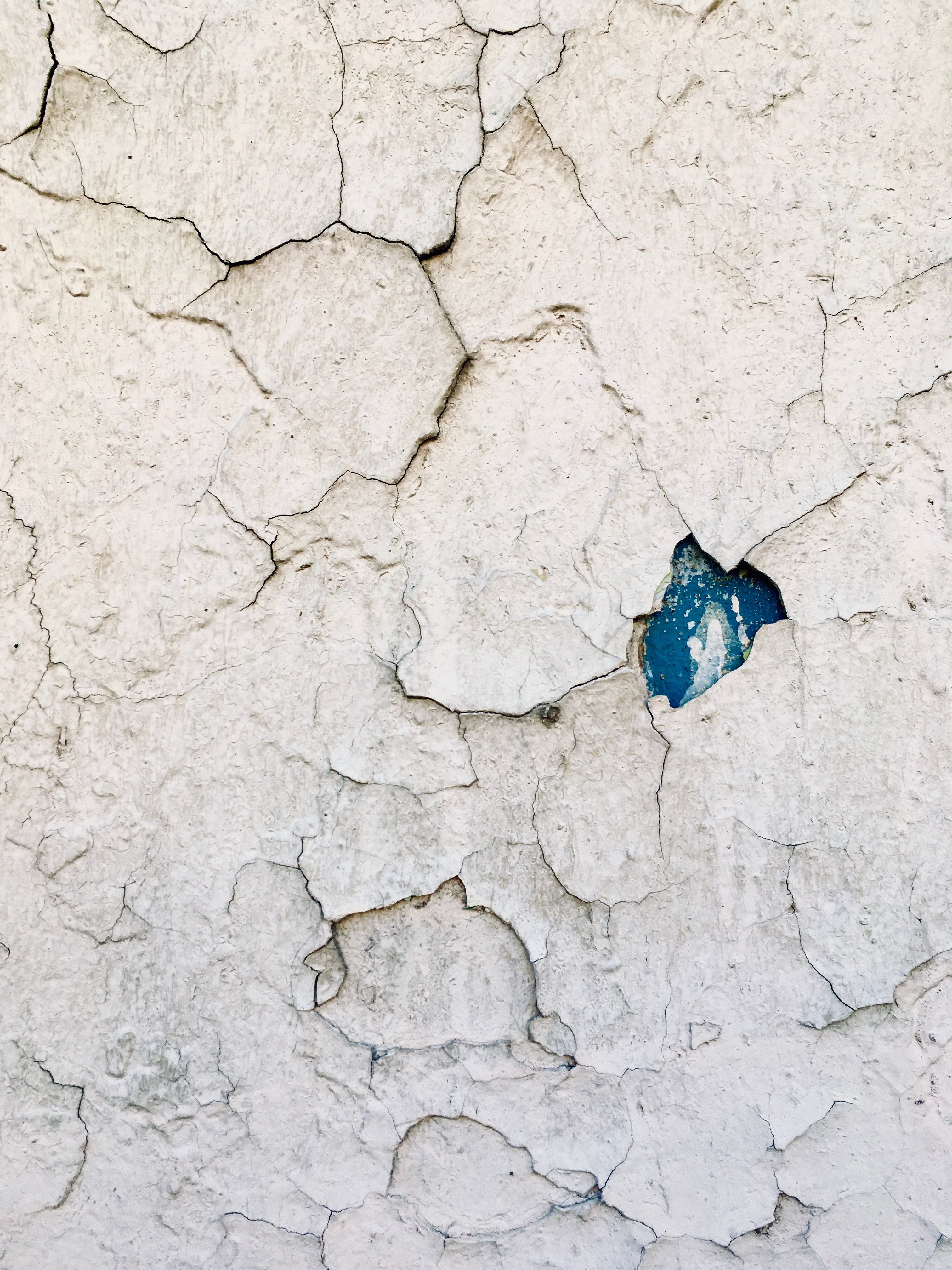 A White Wall · Free Stock Photo