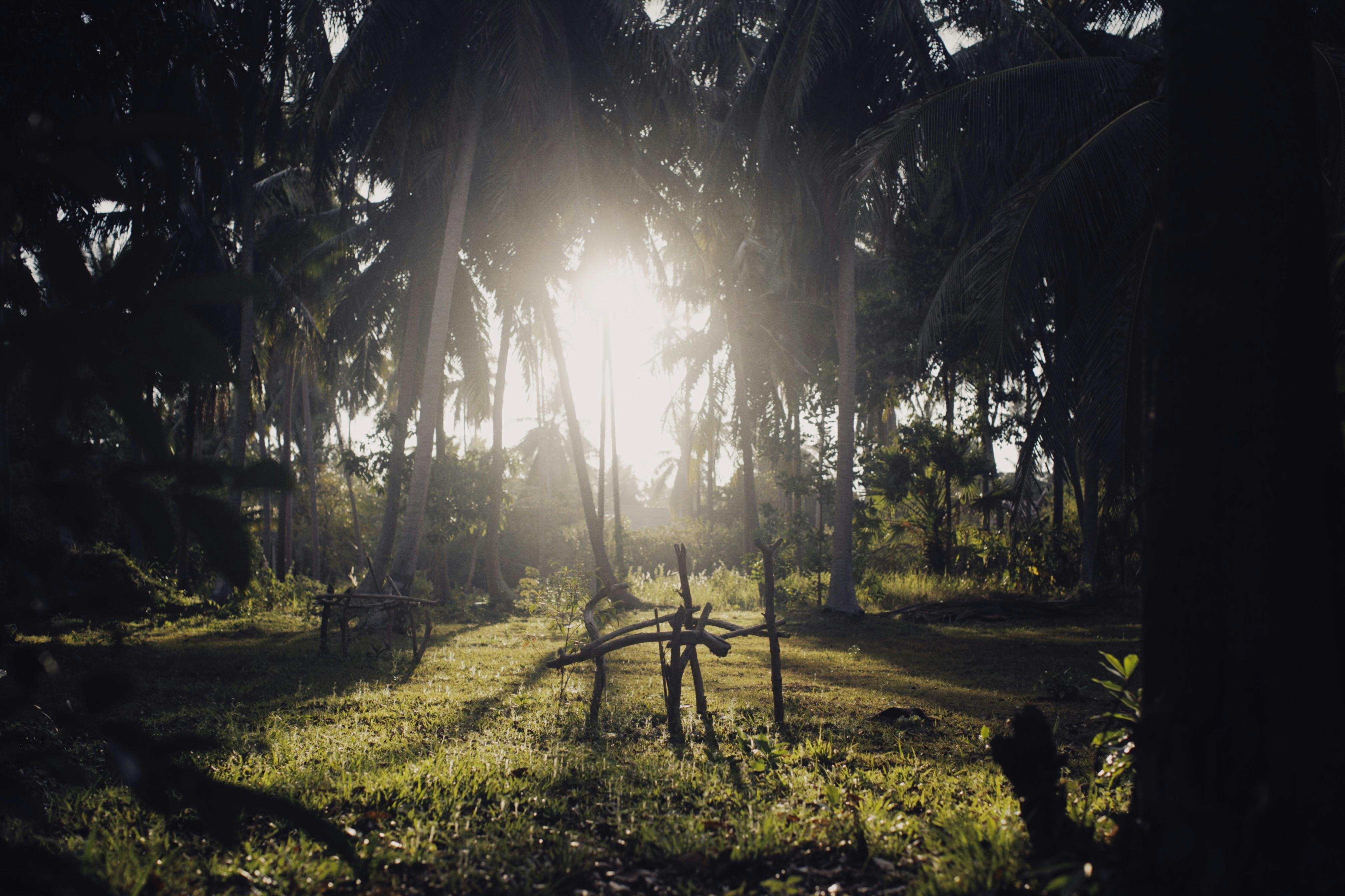 People Doing Hands Slap · Free Stock Photo