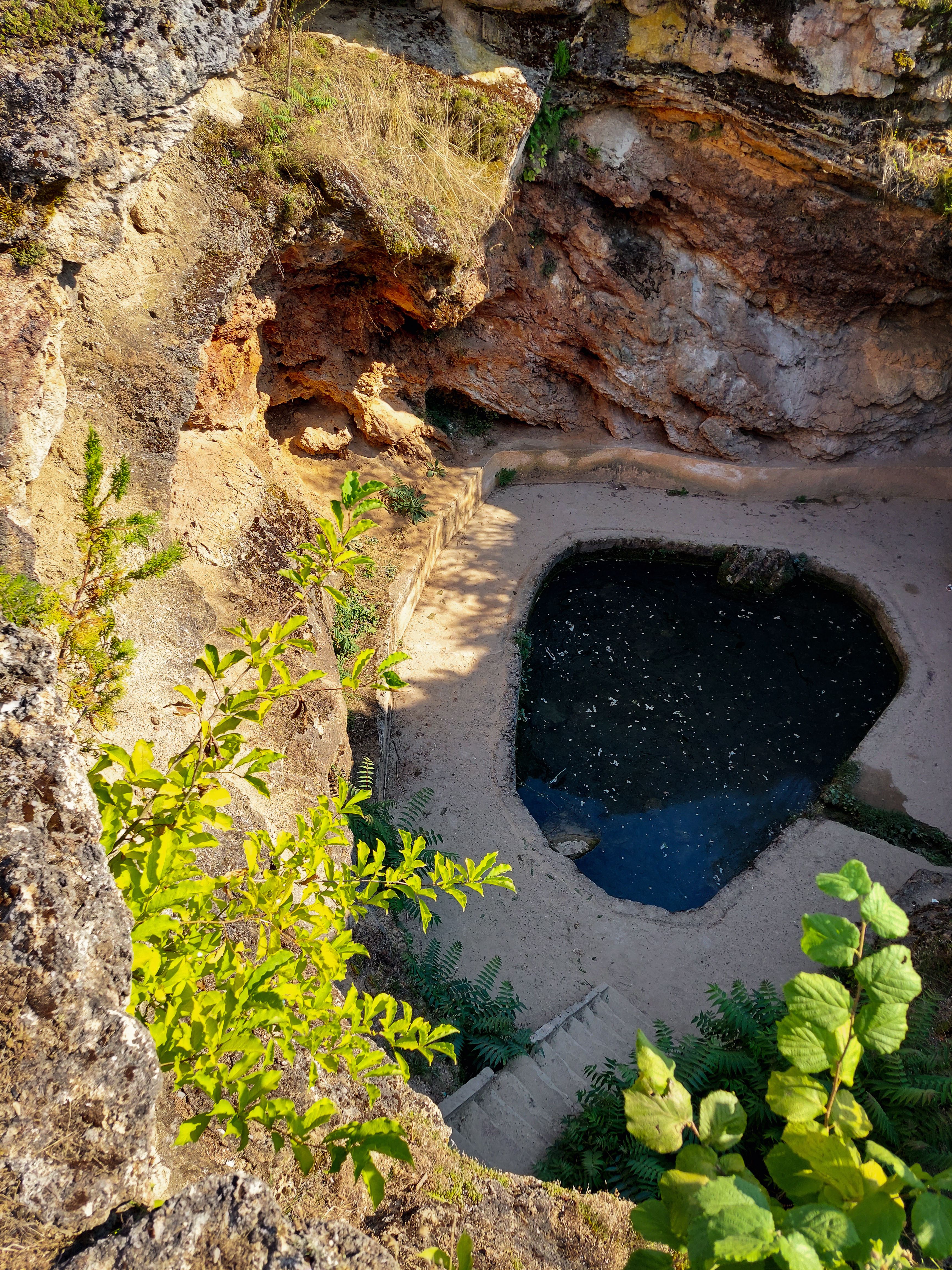High Angle View of a Pond · Free Stock Photo
