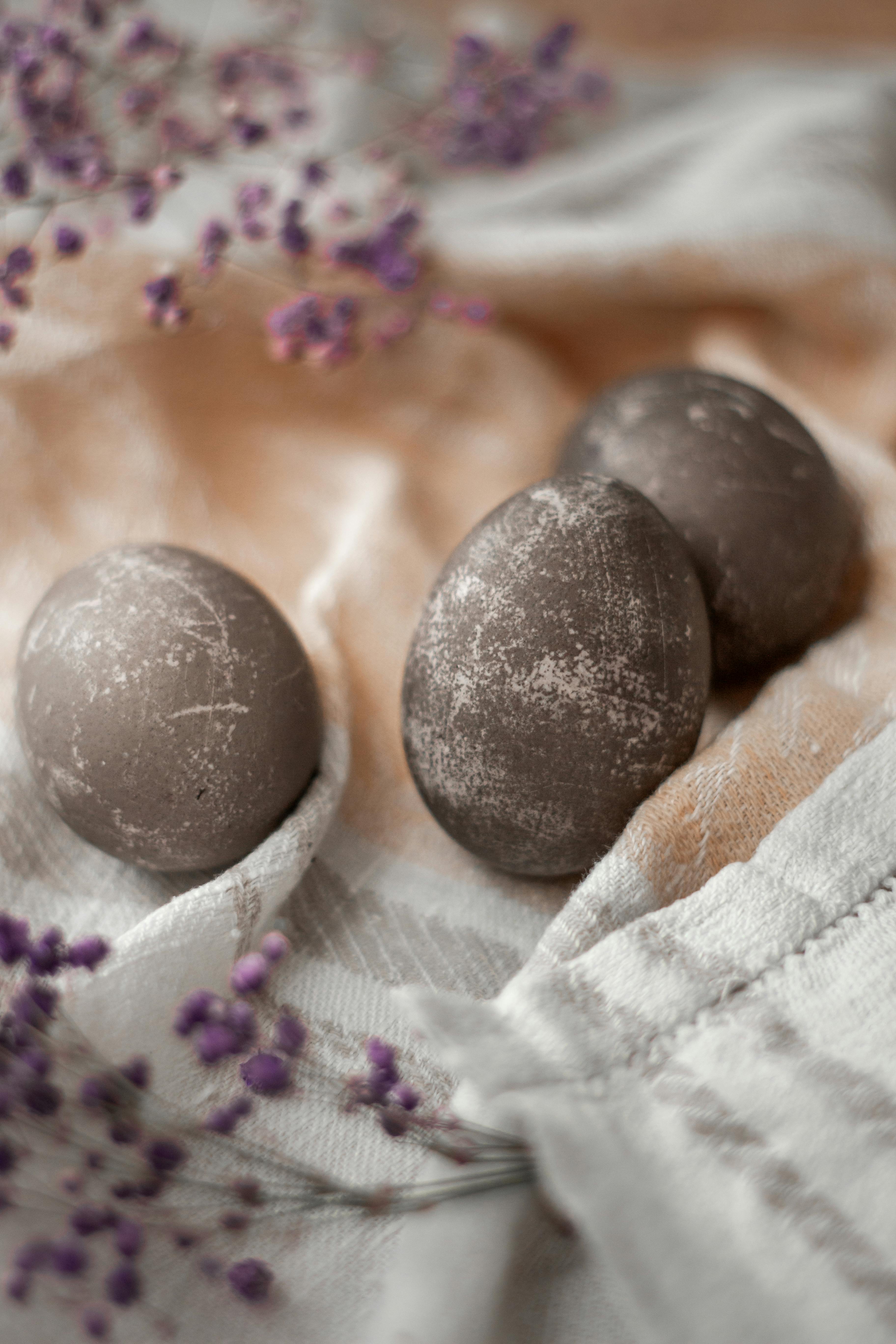Close Up Photo of Gray Eggs on a Cloth · Free Stock Photo