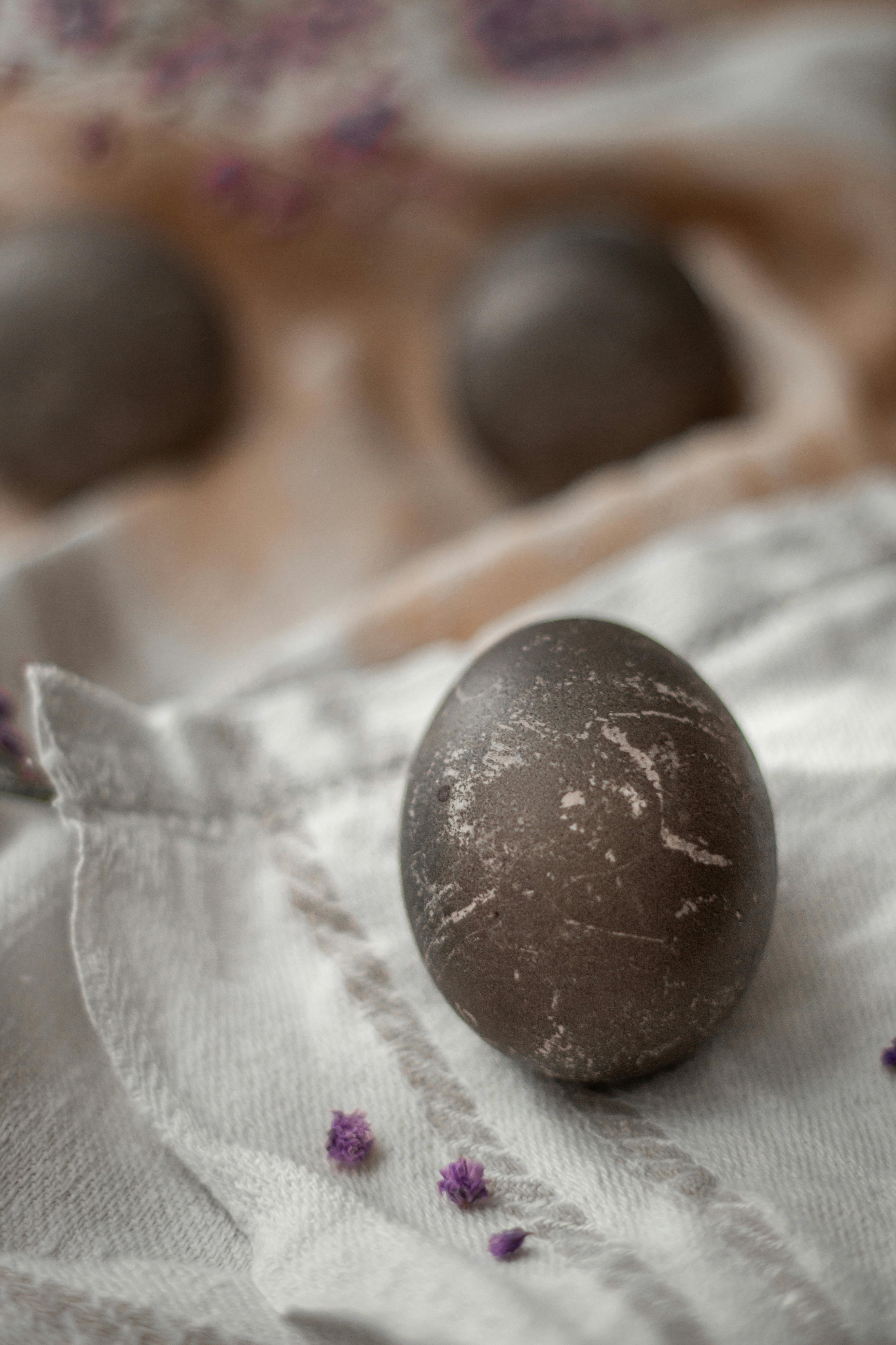 Gray Egg in Close Up Photography · Free Stock Photo