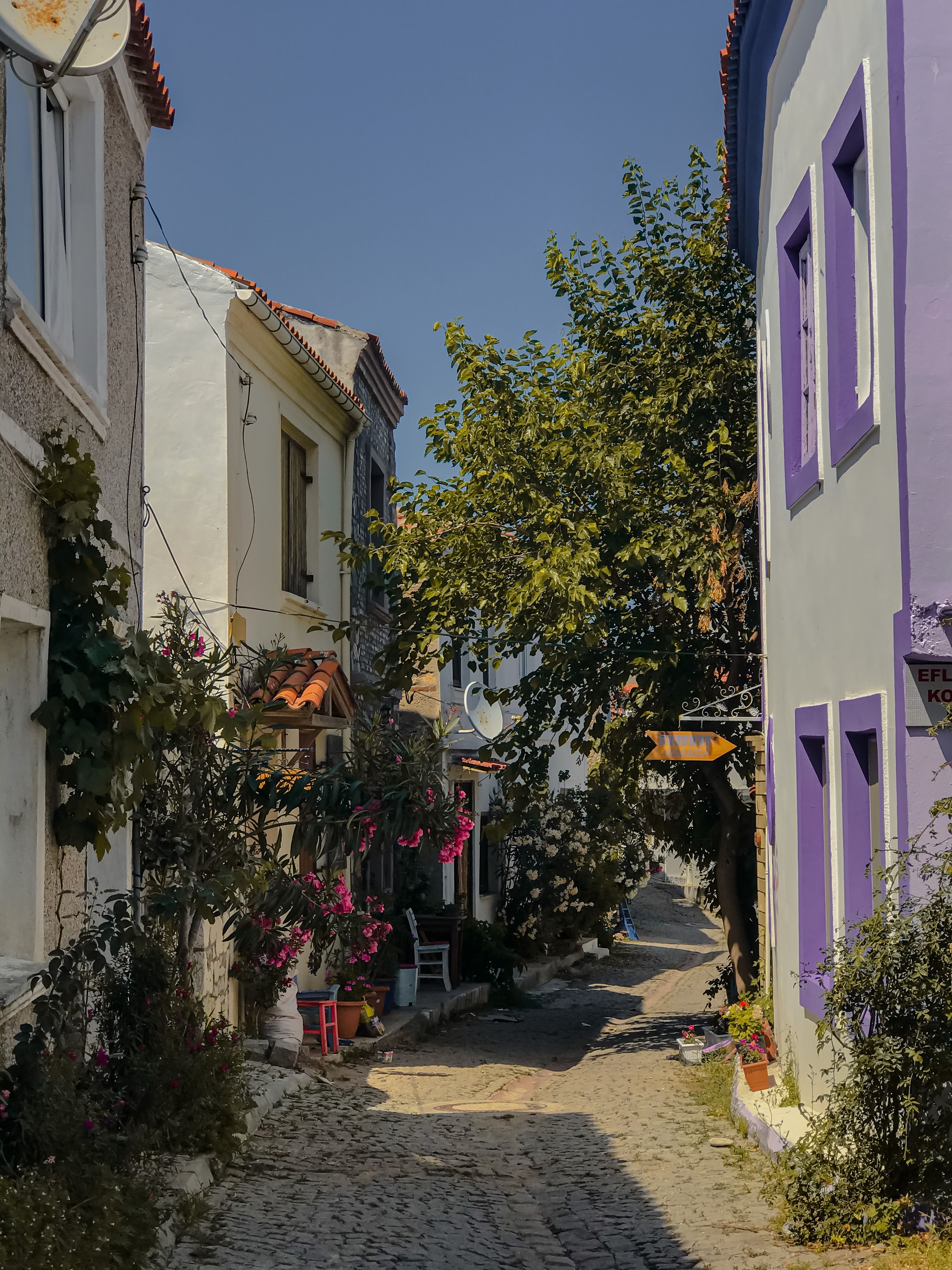 An Alley Between Concrete Houses and White Wall · Free Stock Photo