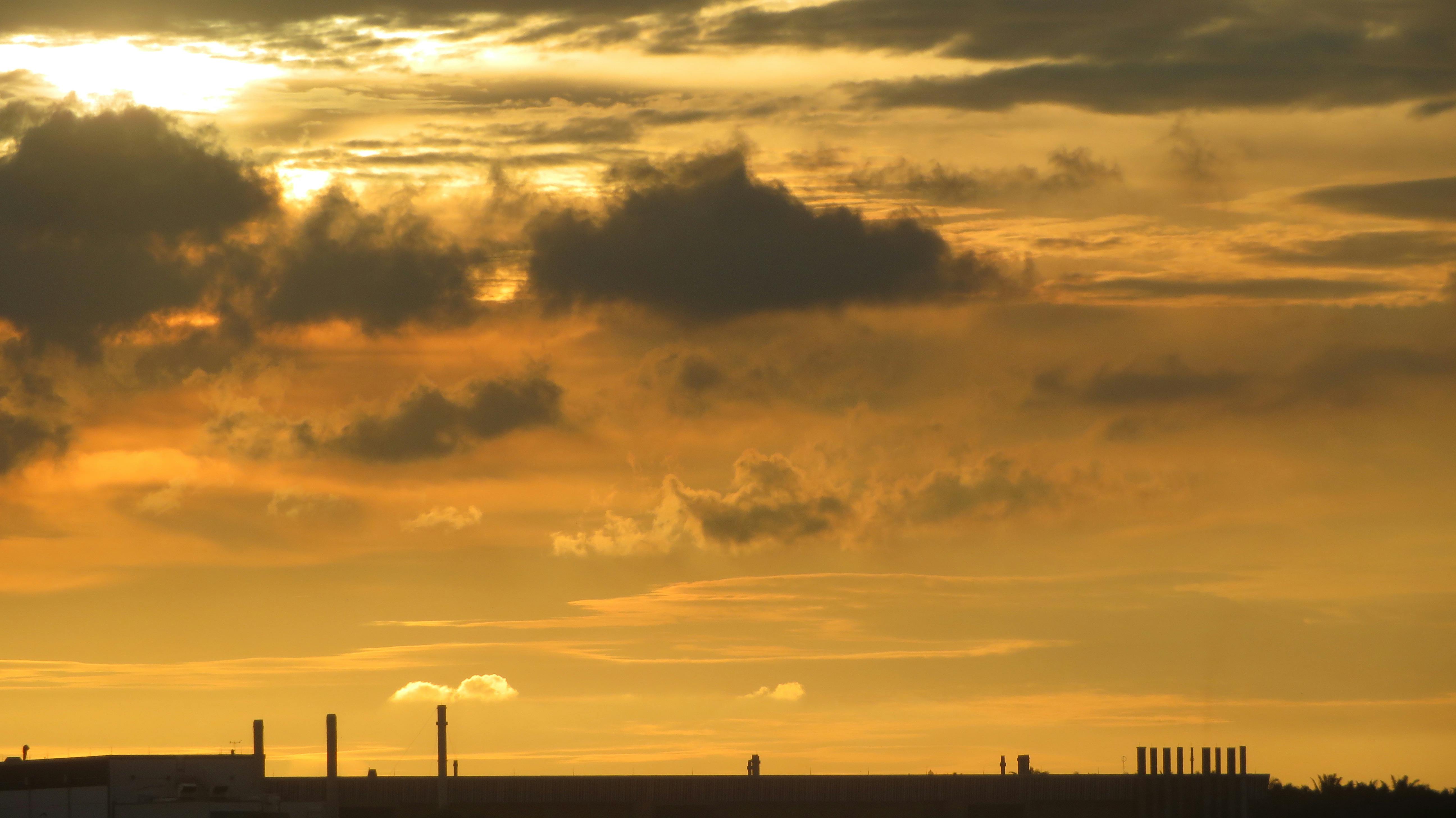 Woman Walking Up Steps at Dawn · Free Stock Photo