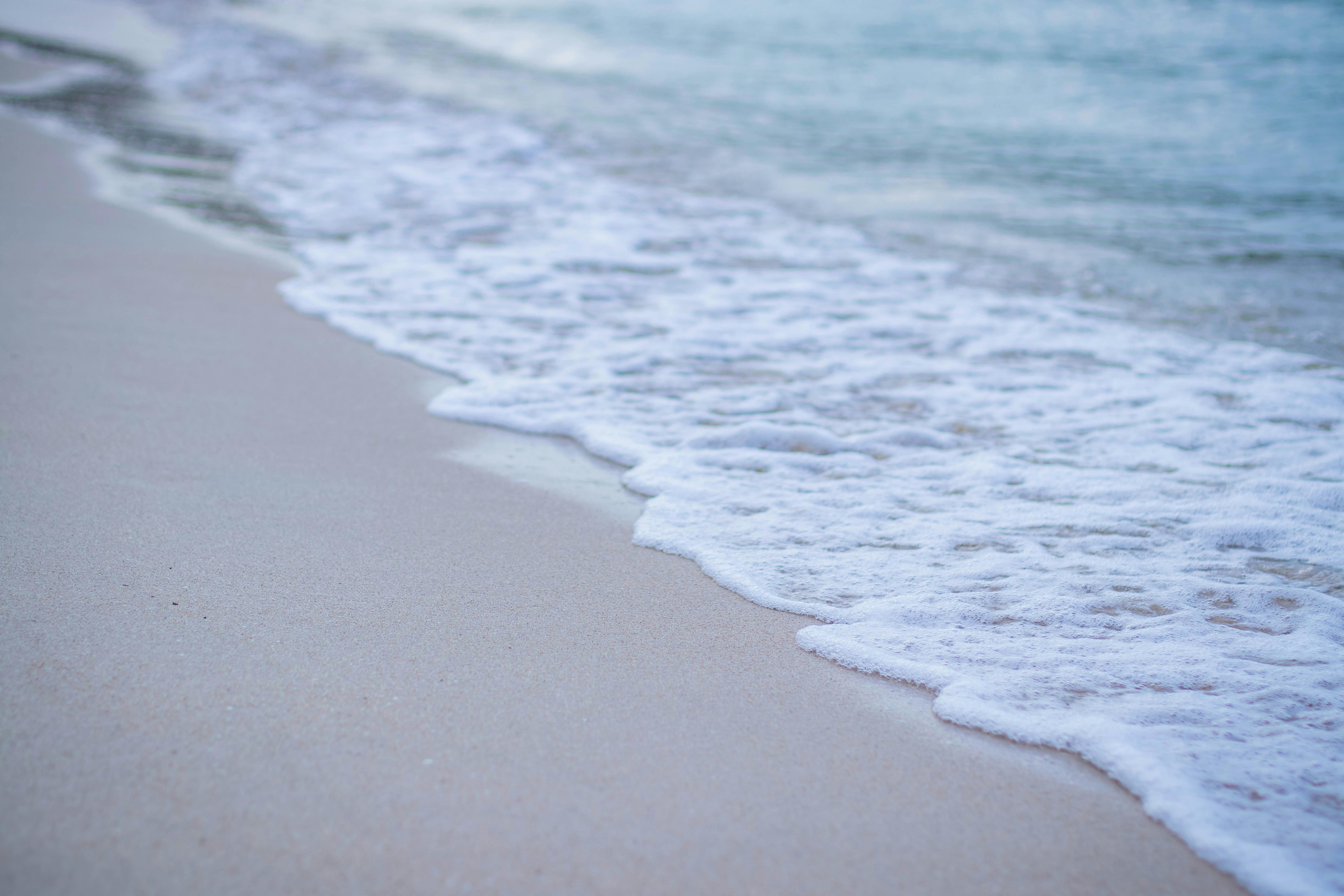 Closeup Photo of Seashore · Free Stock Photo