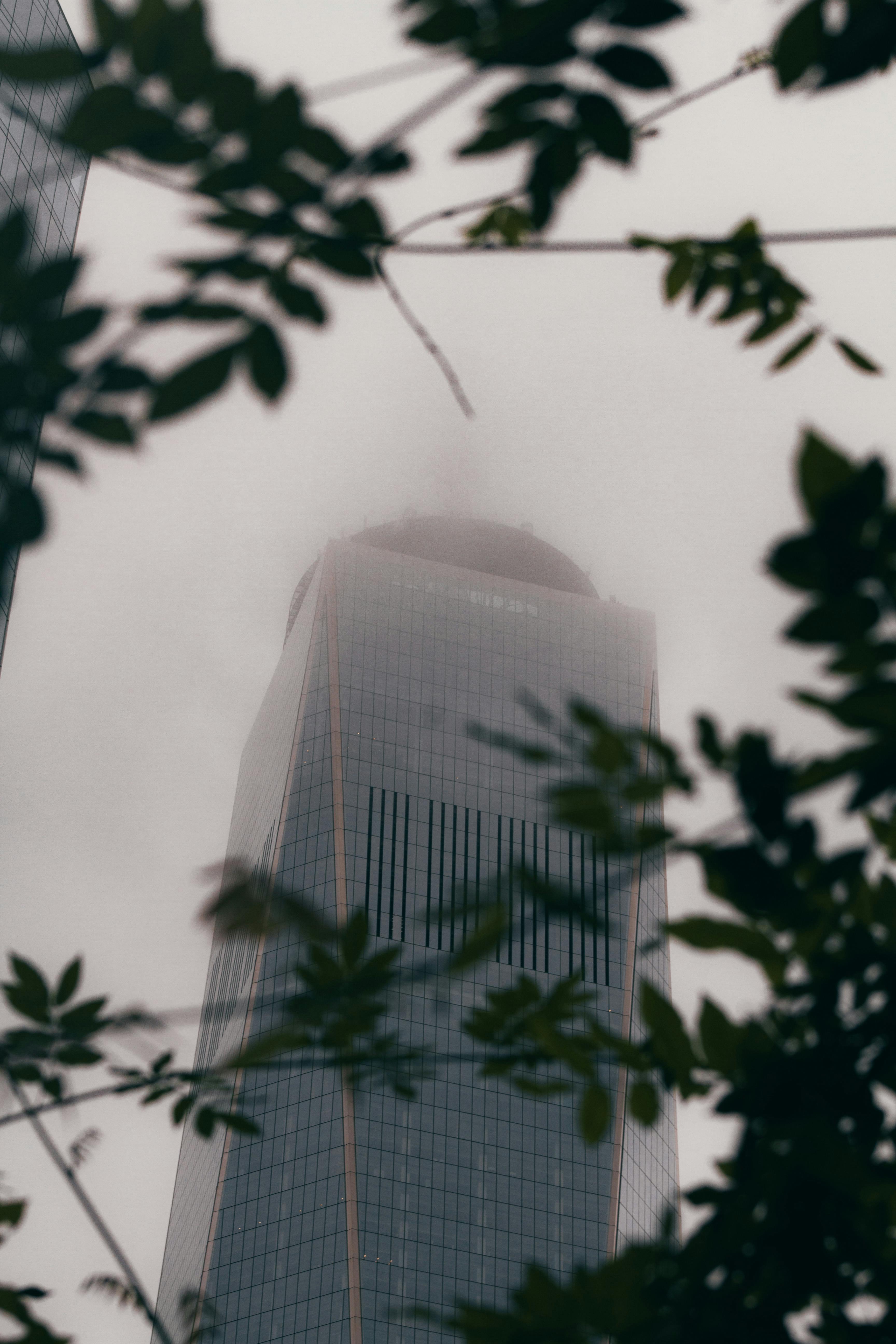 Building Covered with Fog · Free Stock Photo