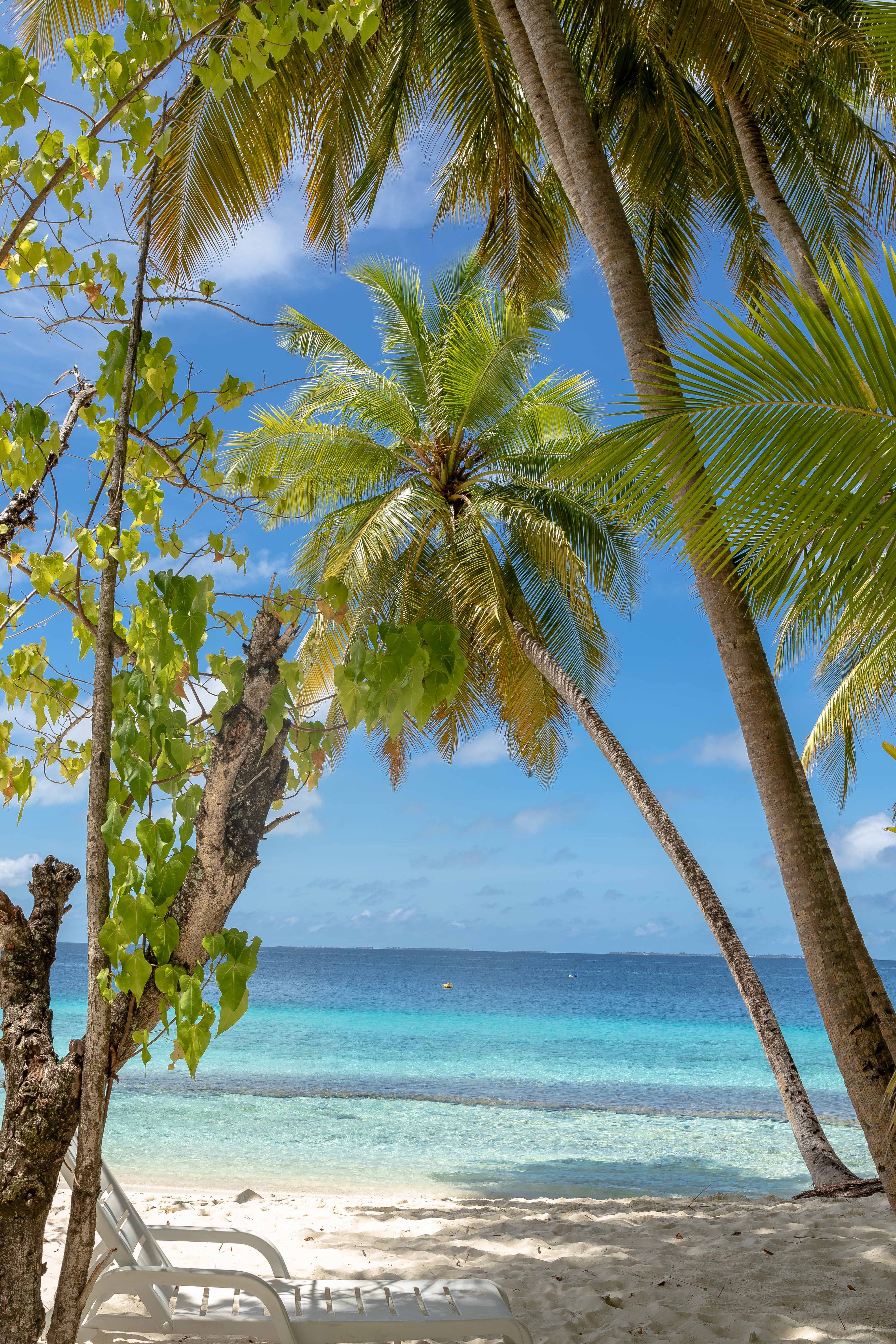Beach · Free Stock Photo