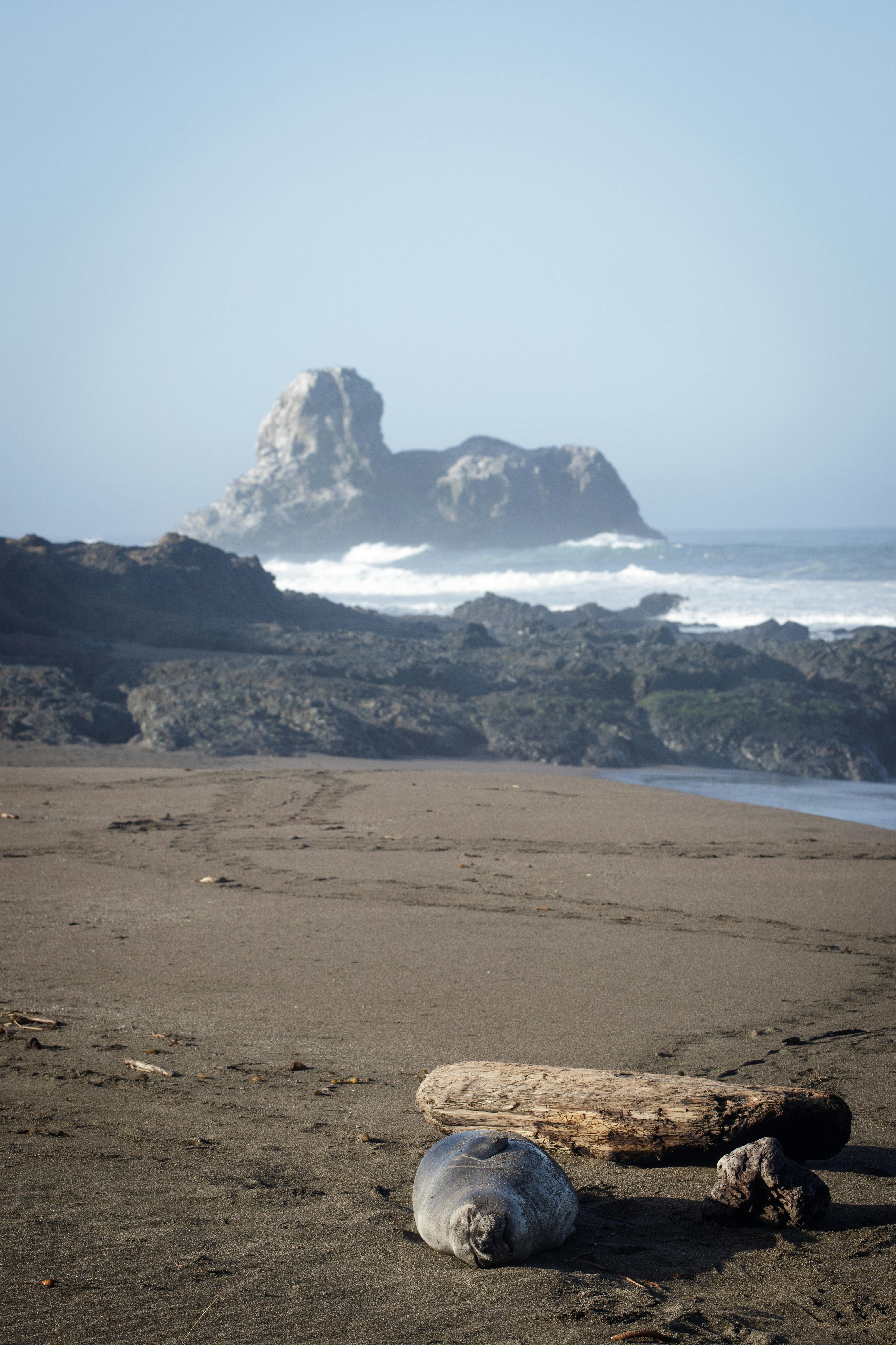 Seabases Photos, Download The BEST Free Seabases Stock Photos & HD Images