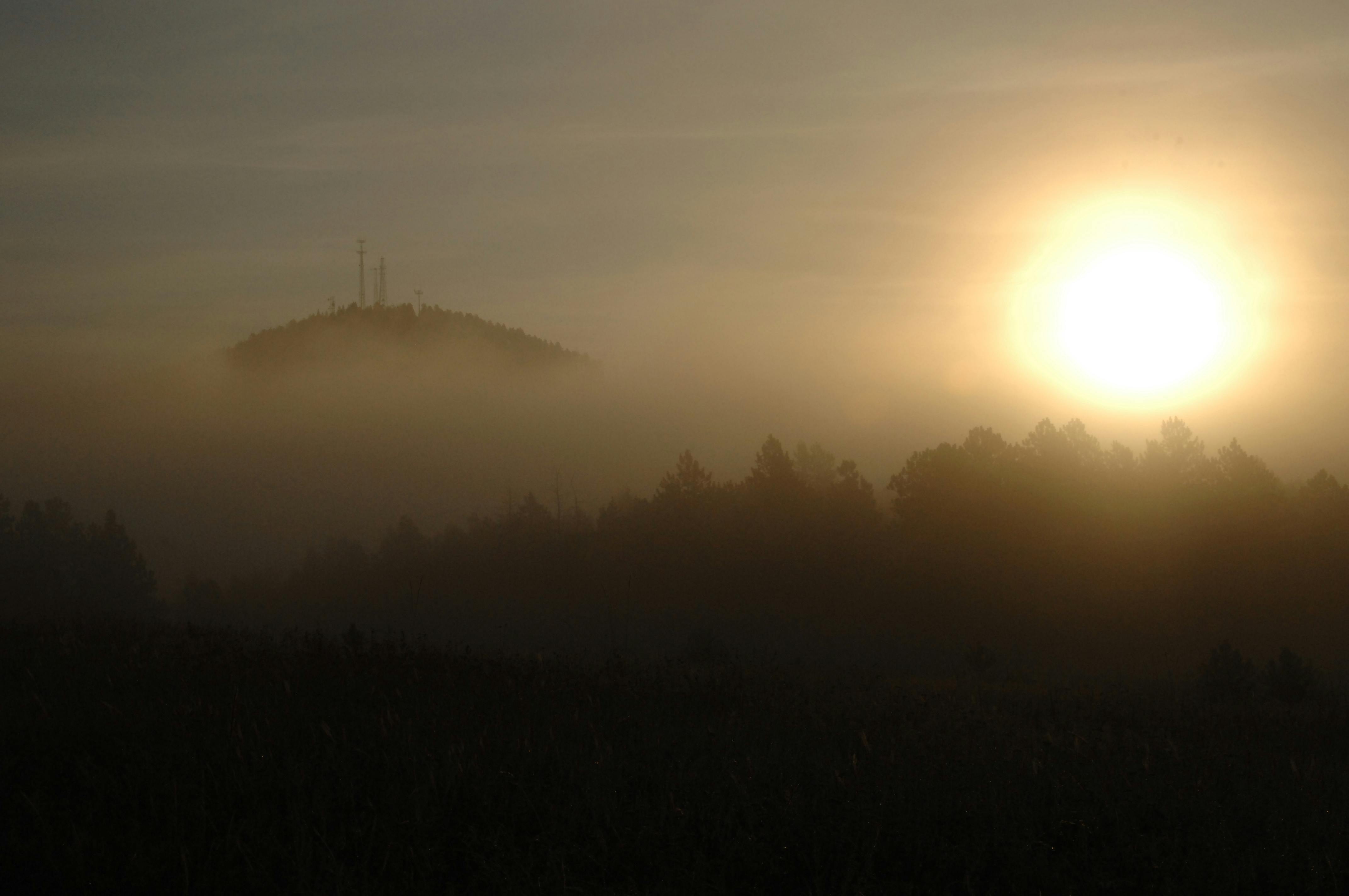 Free stock photo from Rod · Pexels