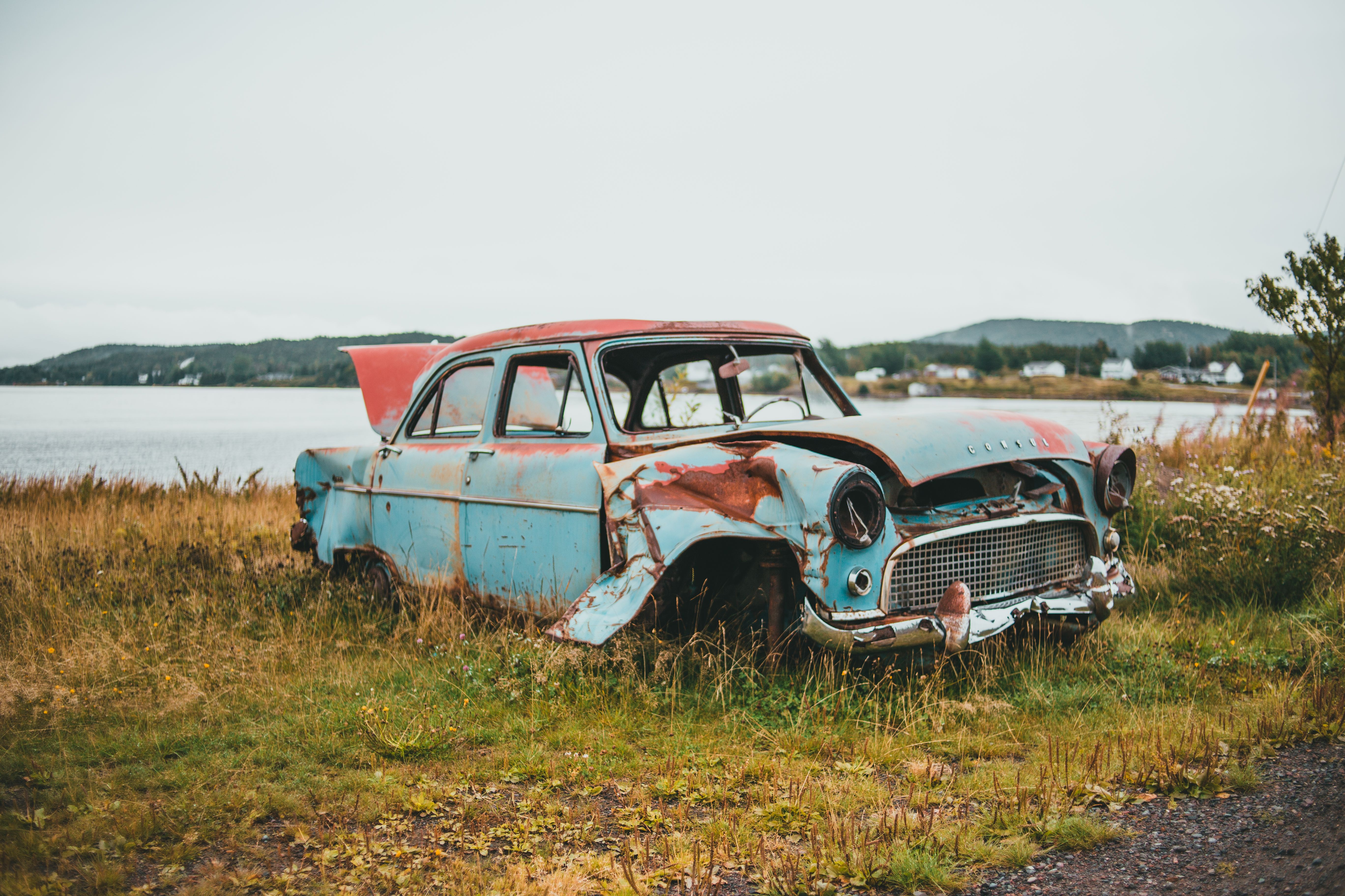 A Car Crushed by a Broken Tree · Free Stock Photo