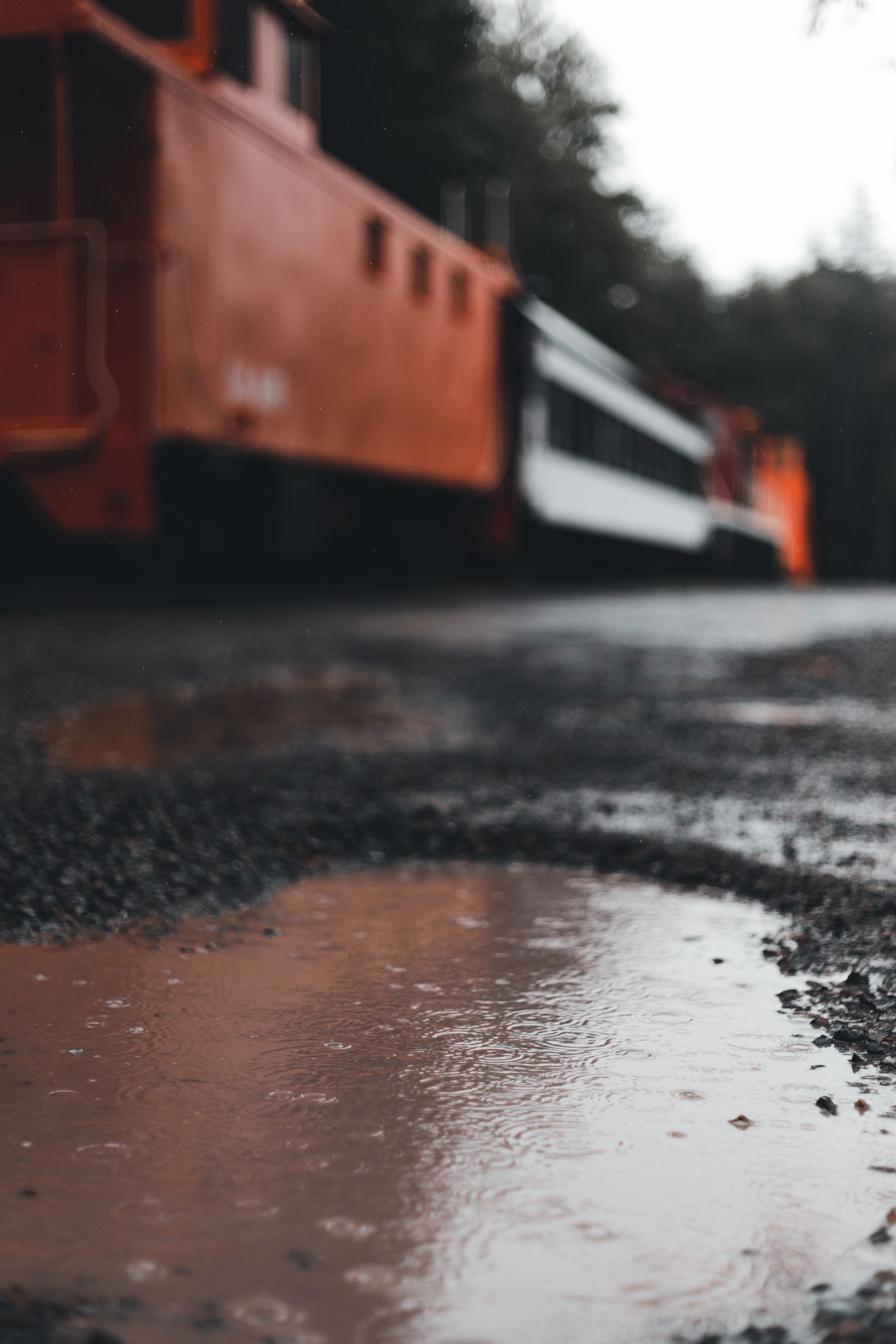 Photo of a Puddle · Free Stock Photo