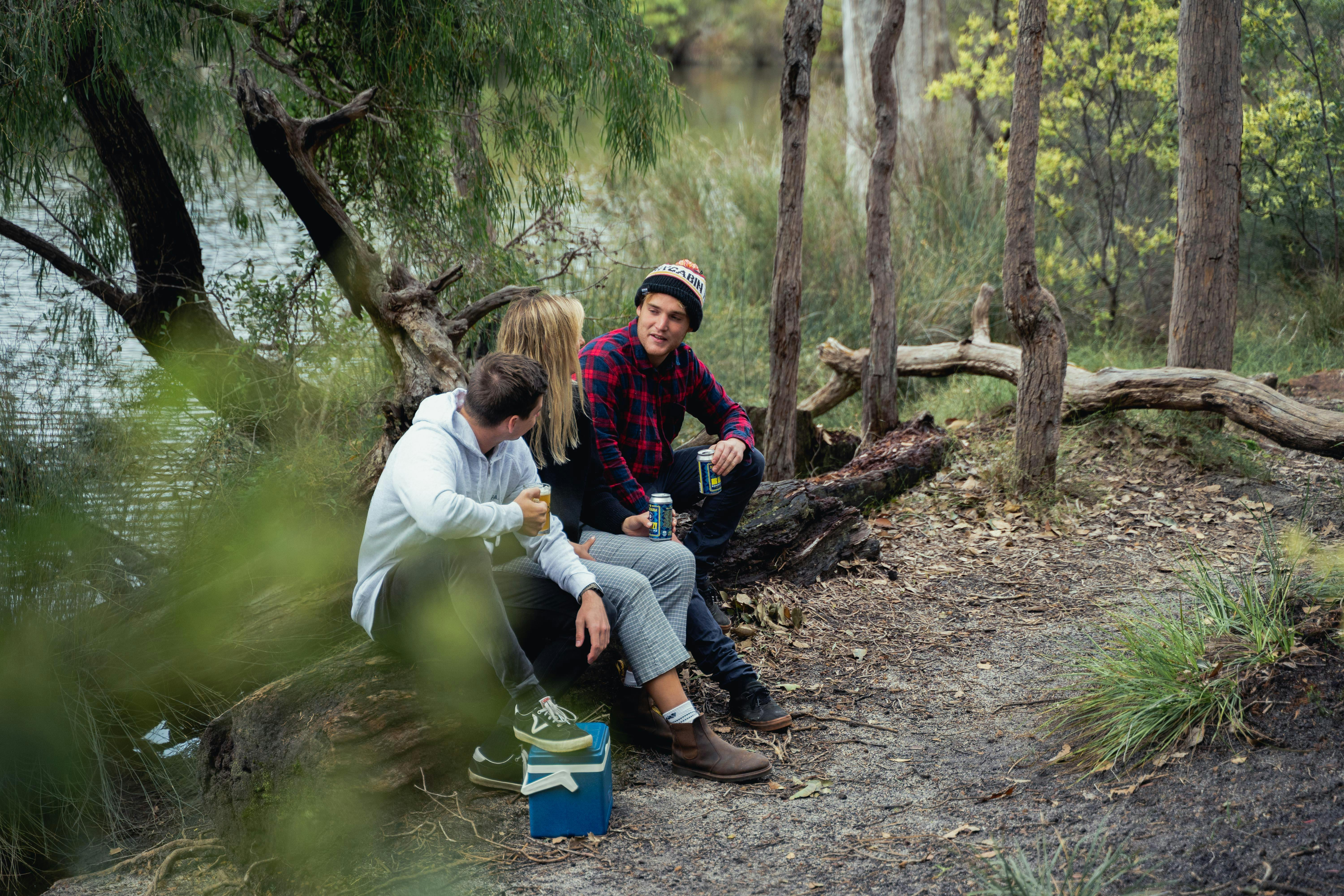 A Group of People Sitting on a Tree Log Holding Beers · Free Stock Photo