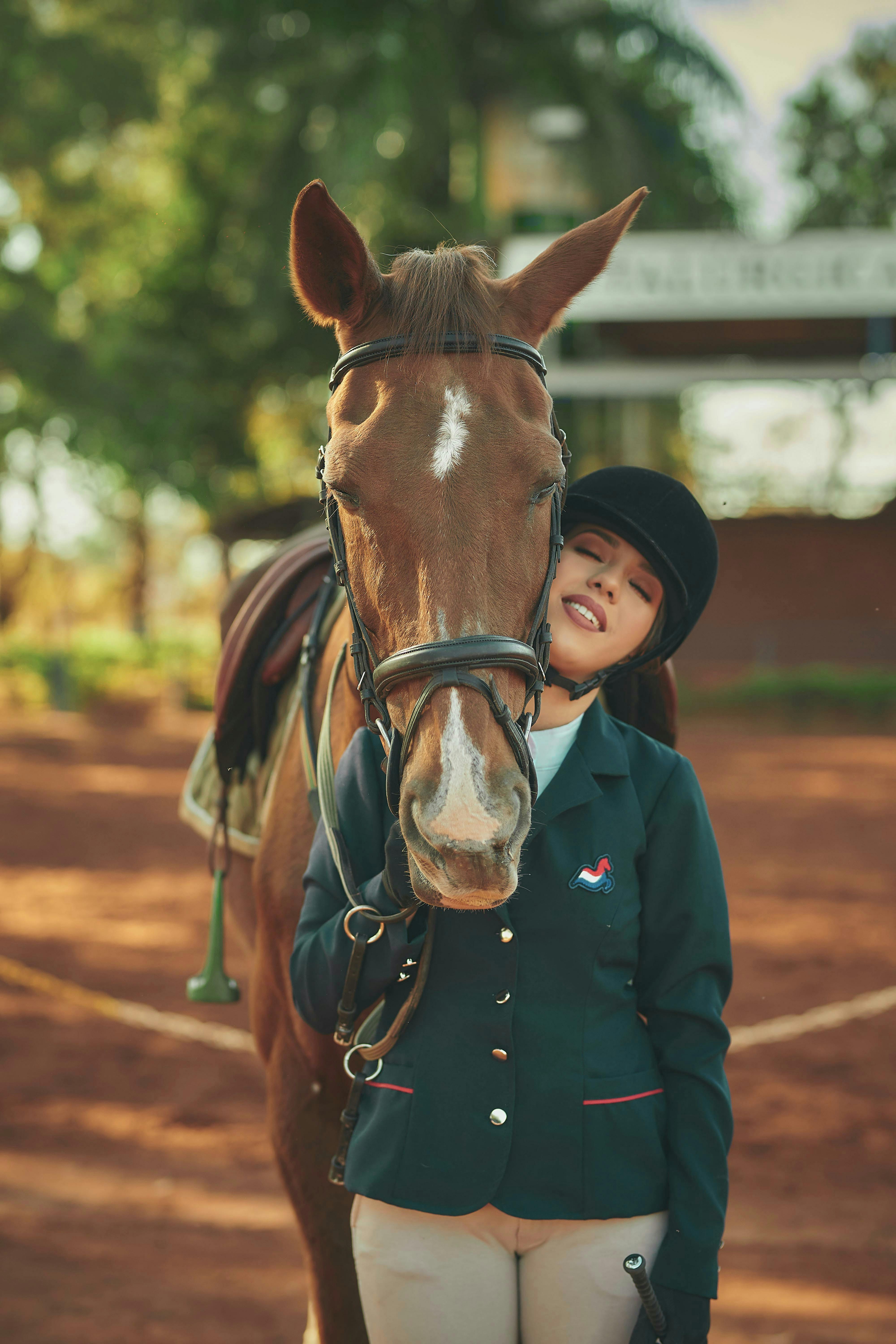 A Hunter Riding on Brown Horse · Free Stock Photo