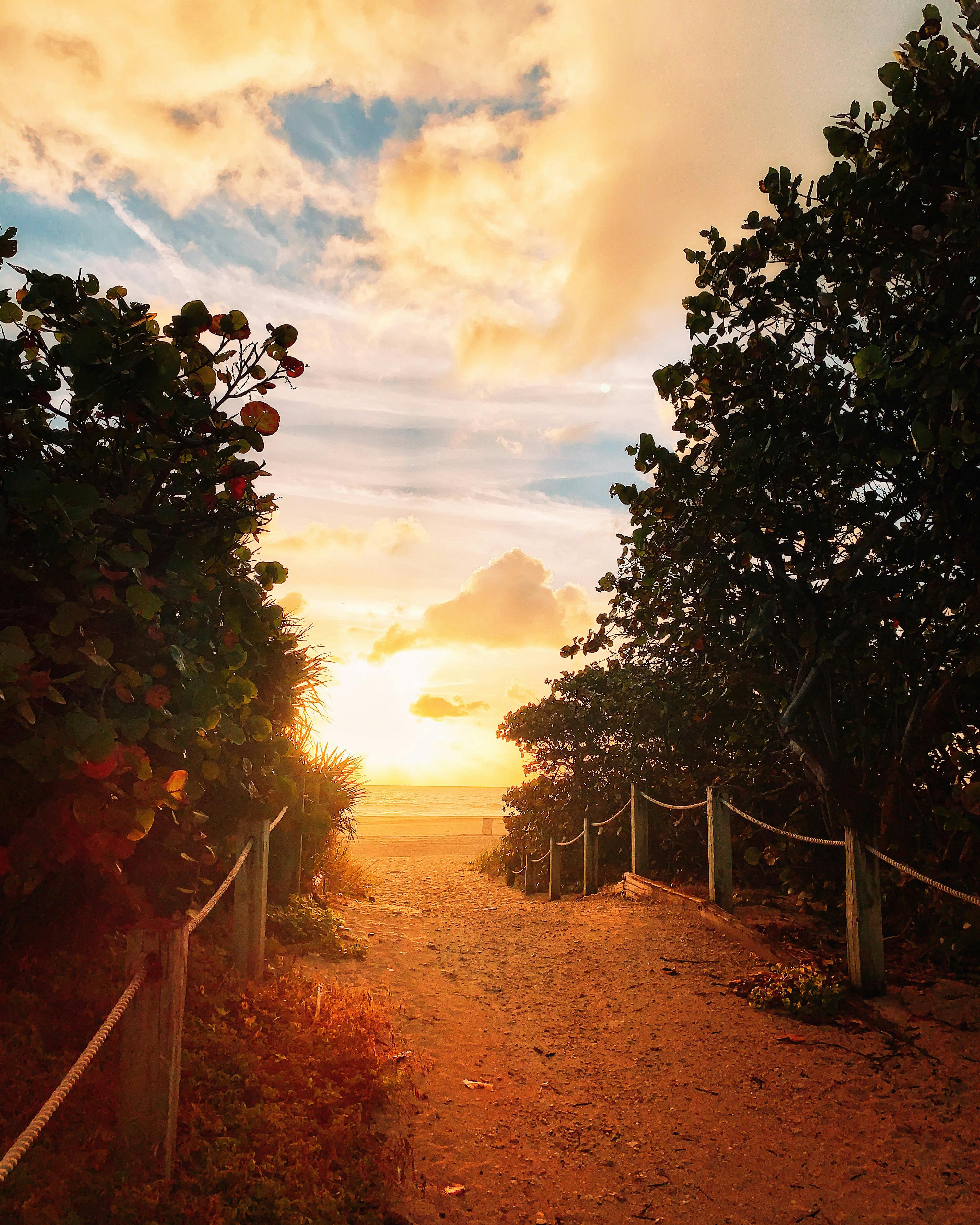 Pathway Near the Beach During Sunset · Free Stock Photo