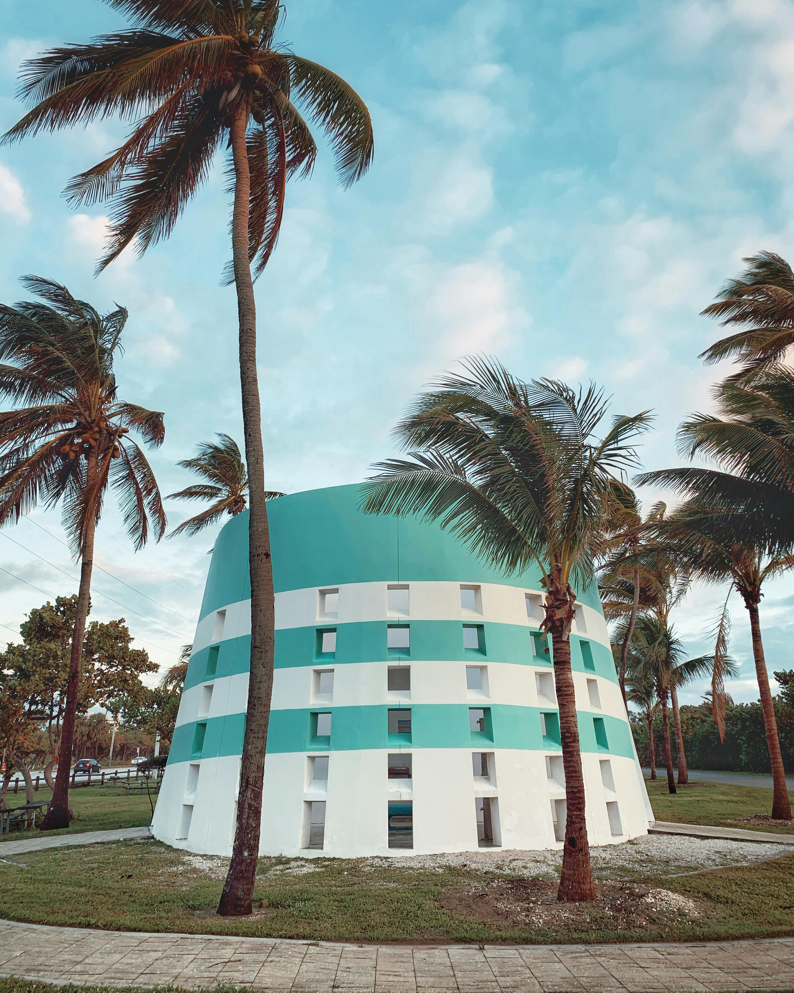 Modern Colorful Building near Palm Trees · Free Stock Photo