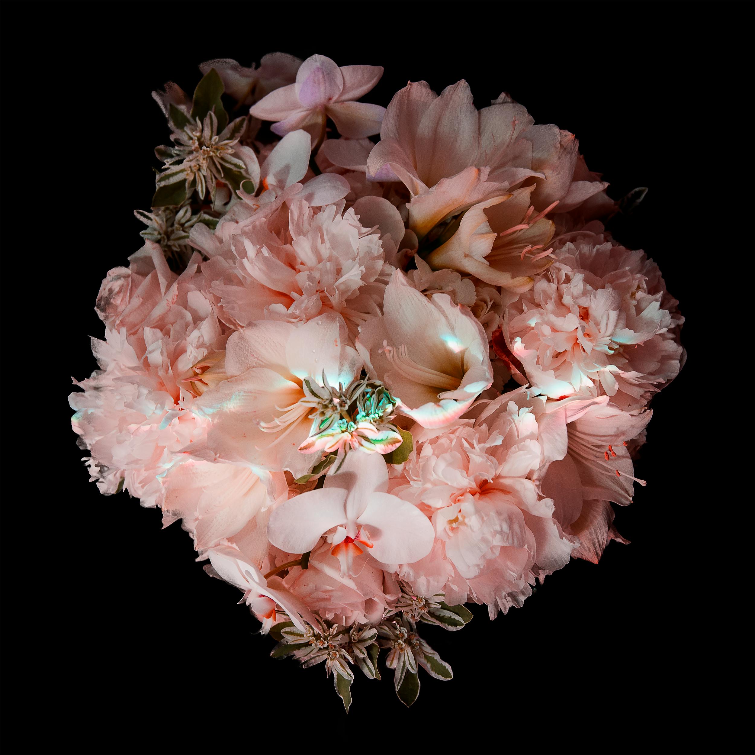 Mason Slover - Photography