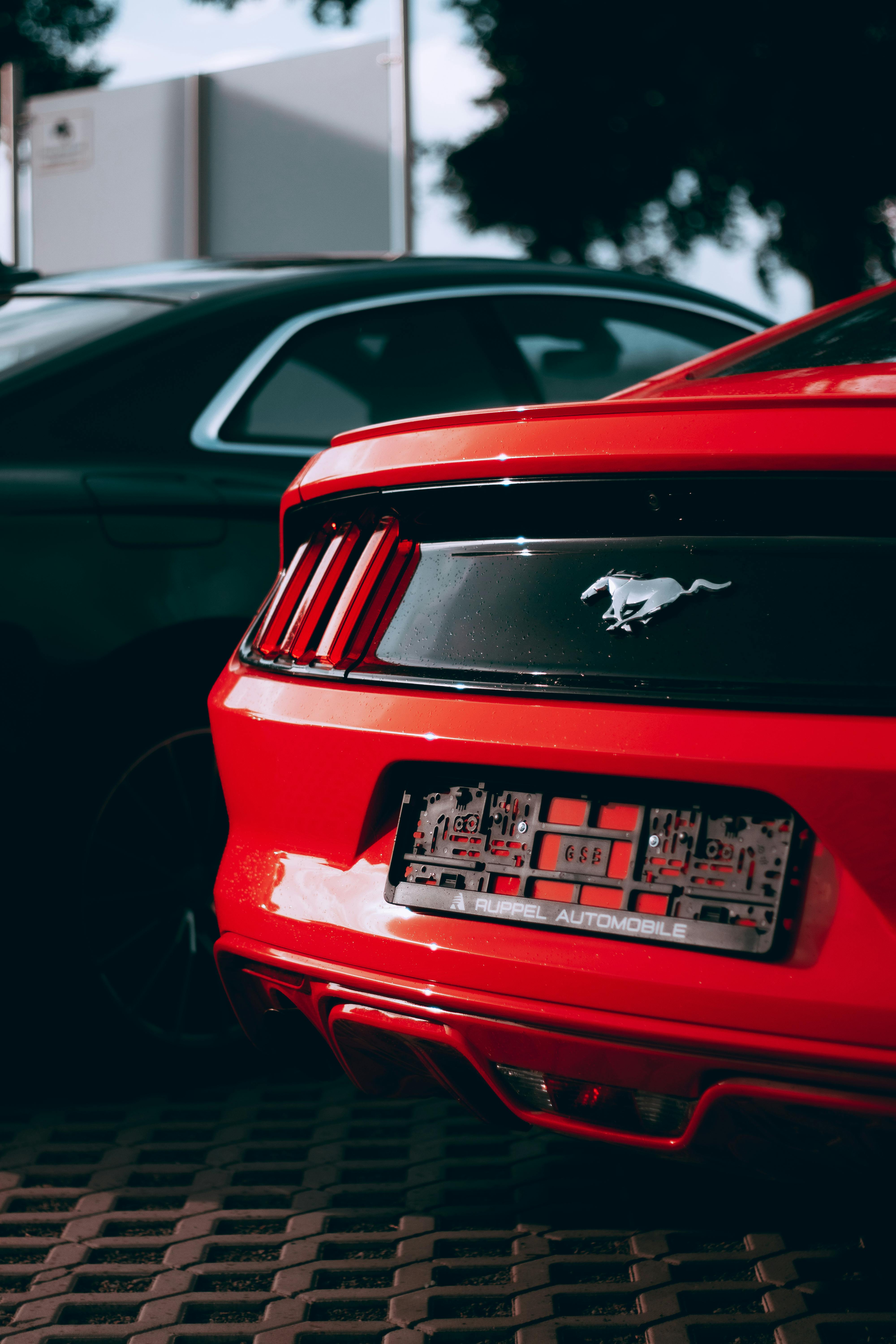 Back of a Ford Mustang · Free Stock Photo